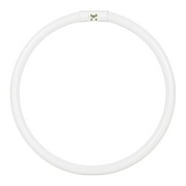 (10 Pack) F17T8/850 17W 24 Inch T8 Fluorescent Tube Light Bulb, 4100K ...