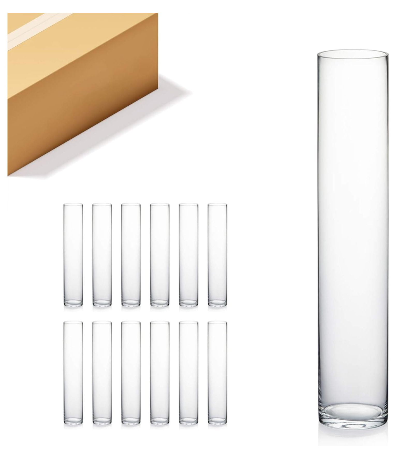WIixle Quality Thick Weighted Tall Clear Cylinder Glass Vase, 3" W x 16 ...