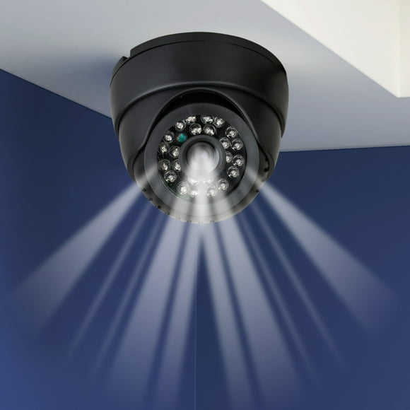 Nanny Cam Audio Video Recording