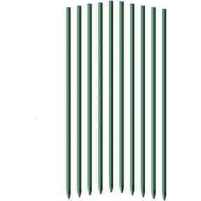 6ft Tomato Stakes for Garden Support