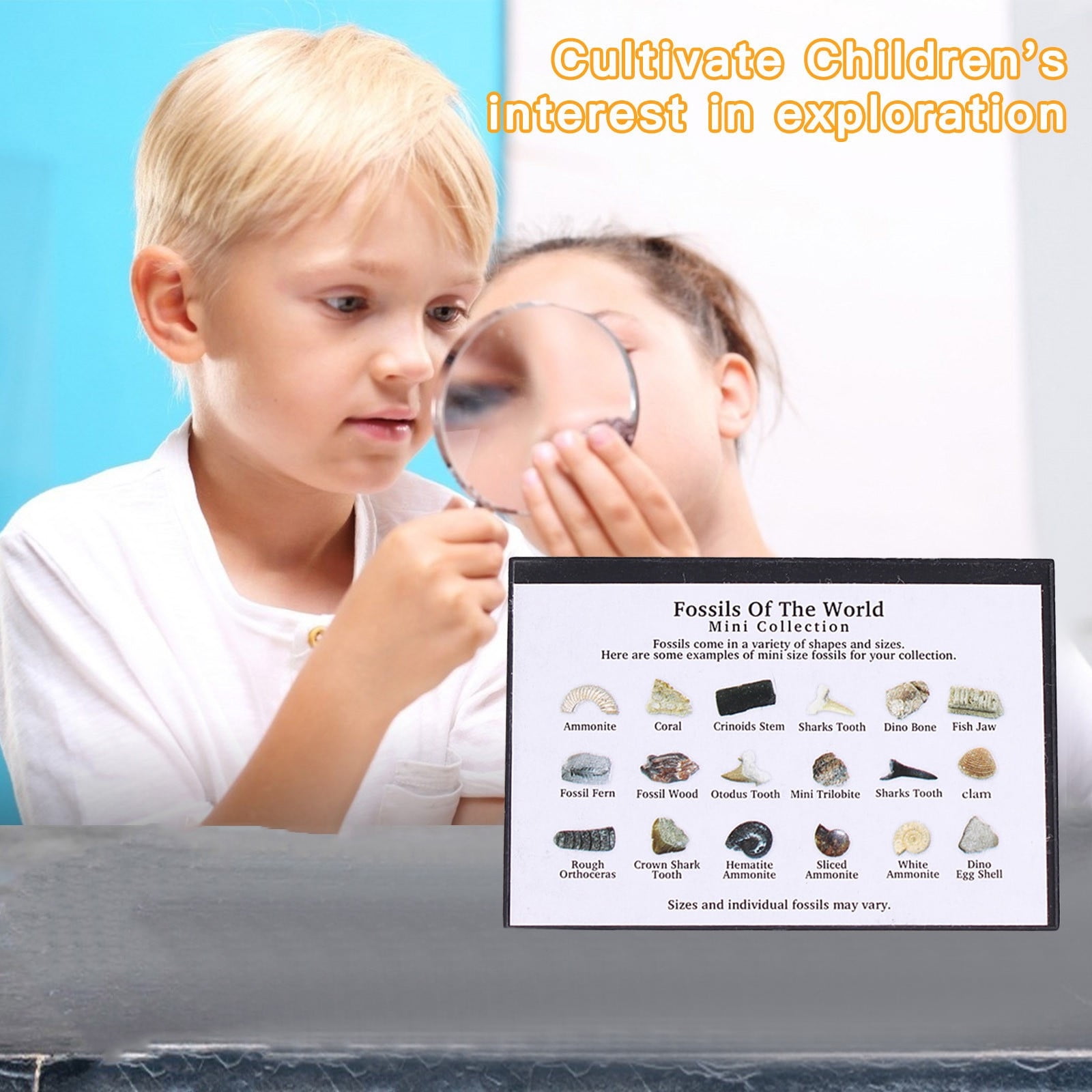 Rock Boxes