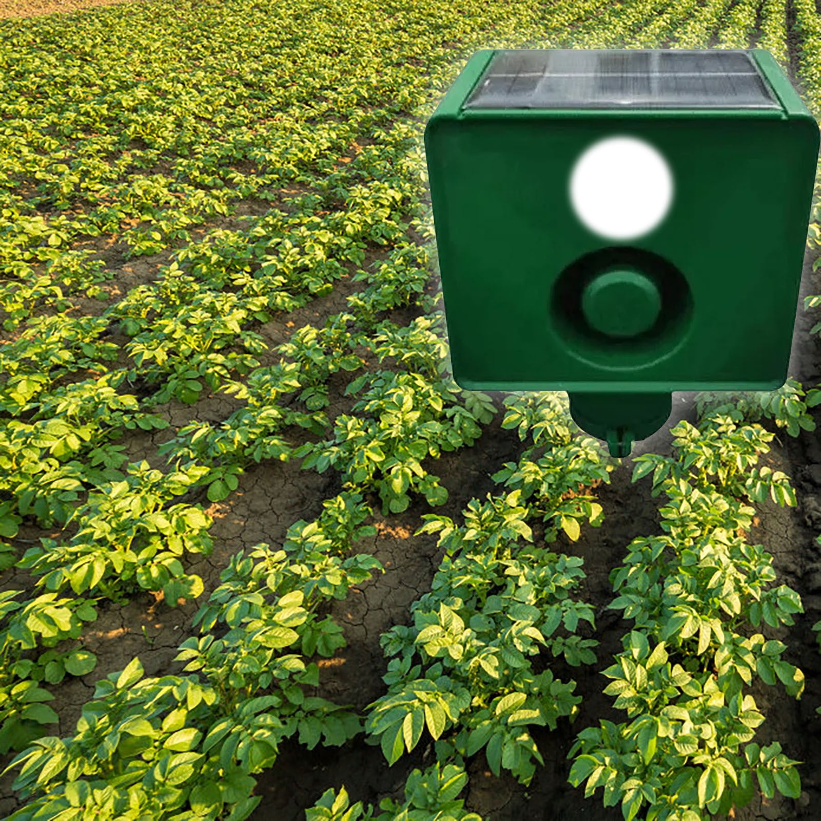 WLAGOOD Solar Animal Repeller,Beasts Repellent Solar Warnings Lights ...