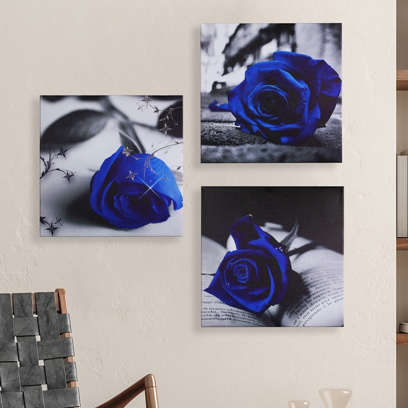 WLM2229n Blue Lover 3 Piece Gallery Wall Art Wrapped Canvas - Walmart.com