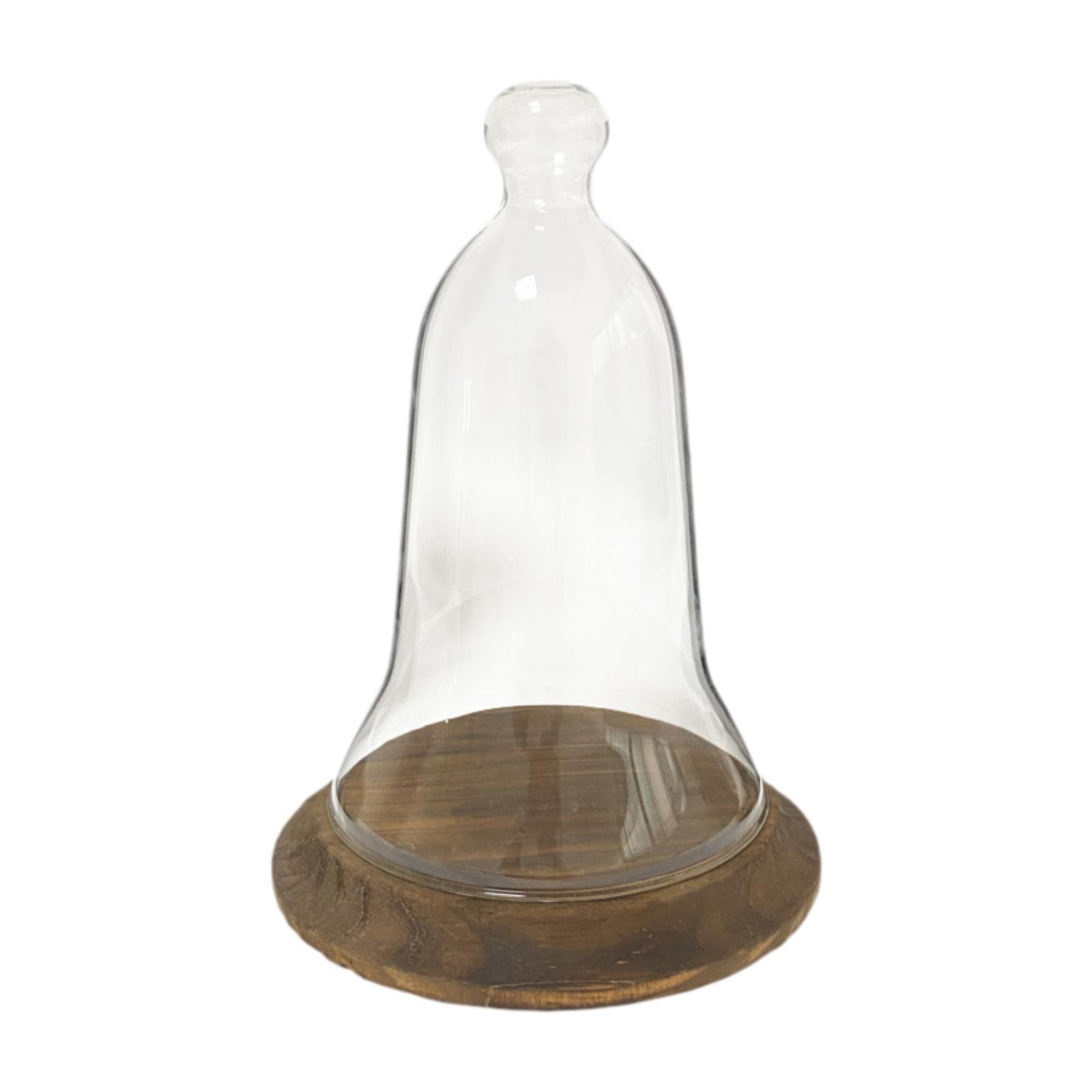 WLPZXP Clear Glass Dome Container Terrarium Jar Dome Collectible Figure ...