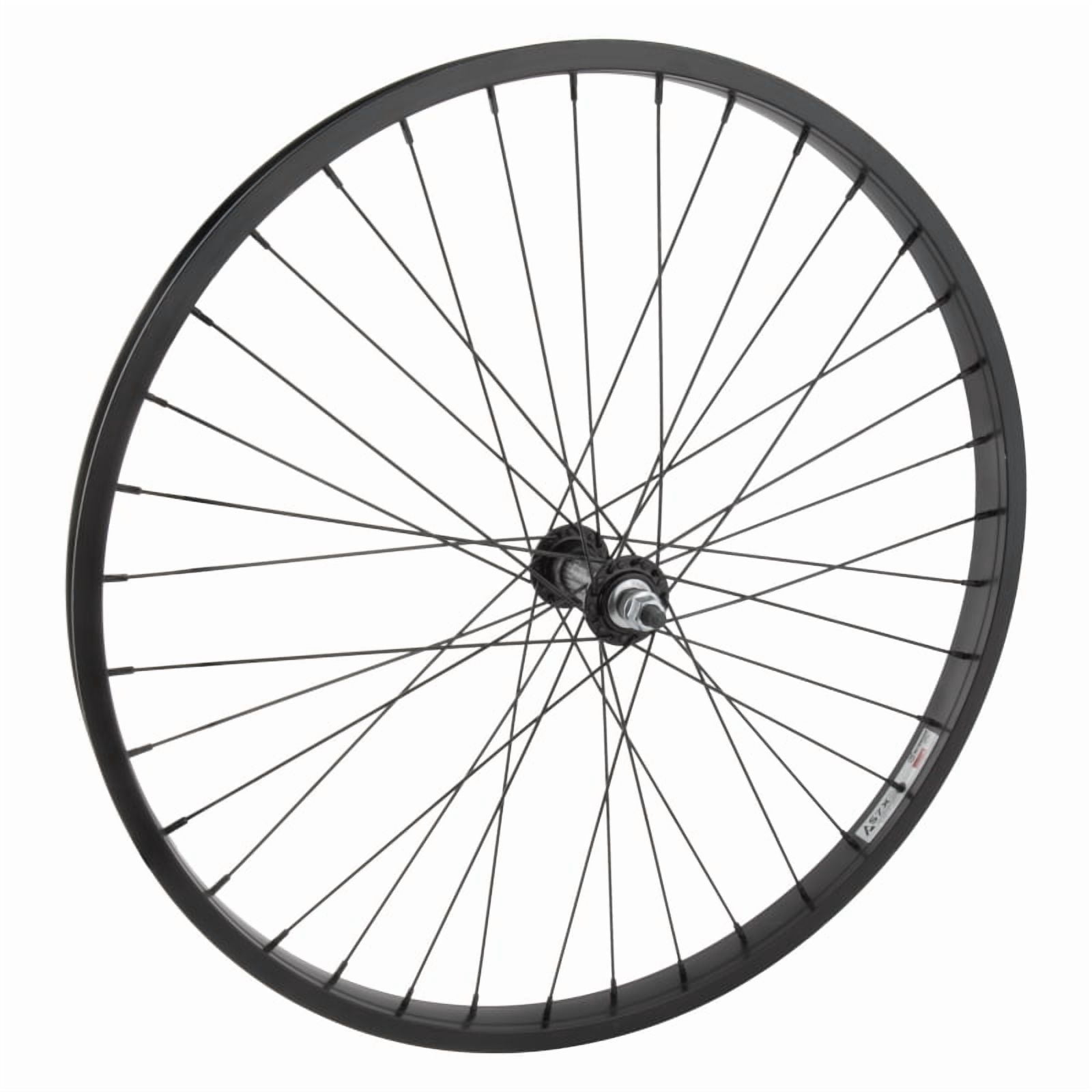 WM Wheel Front 24x1.75 507x25 Aly Bk 36 Aly Bo 3/8 Bk Ss2.0bk - Walmart.com