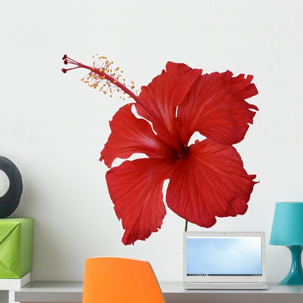 Wm282011 Red Hibiscus Flower Isolated Peel And Stick Wall Decals 24 W
