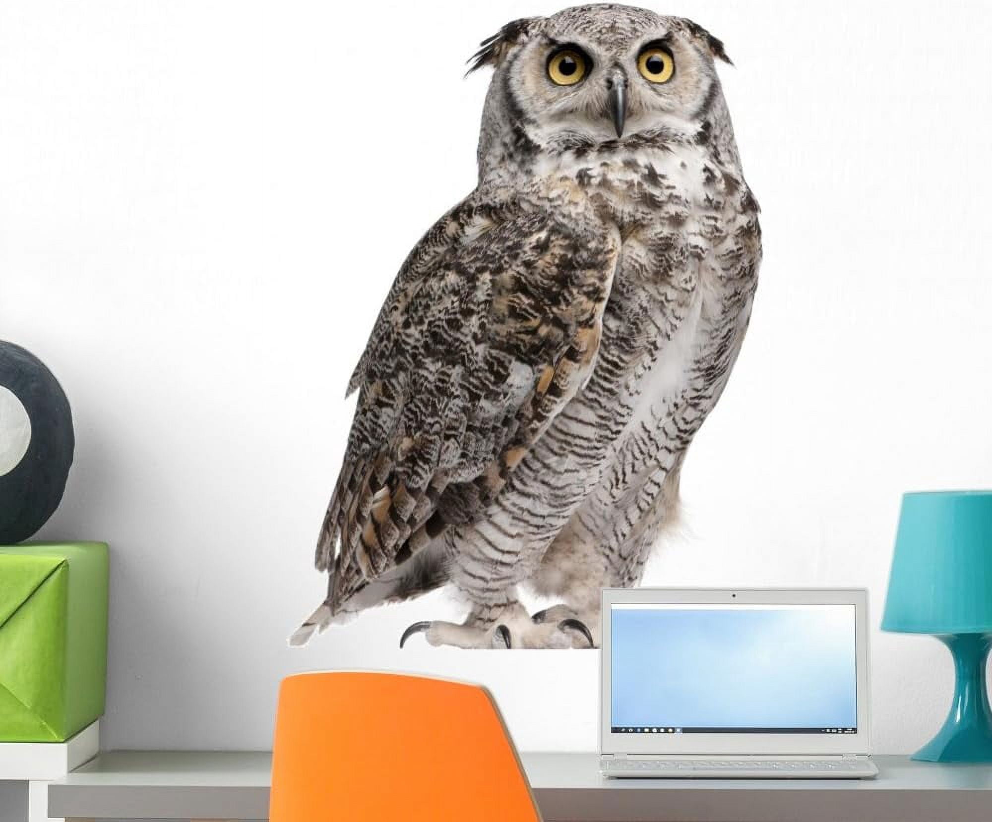WM68454 Horned Owl Peel and Stick Wall Decals, 24" H x 22" W-Medium ...