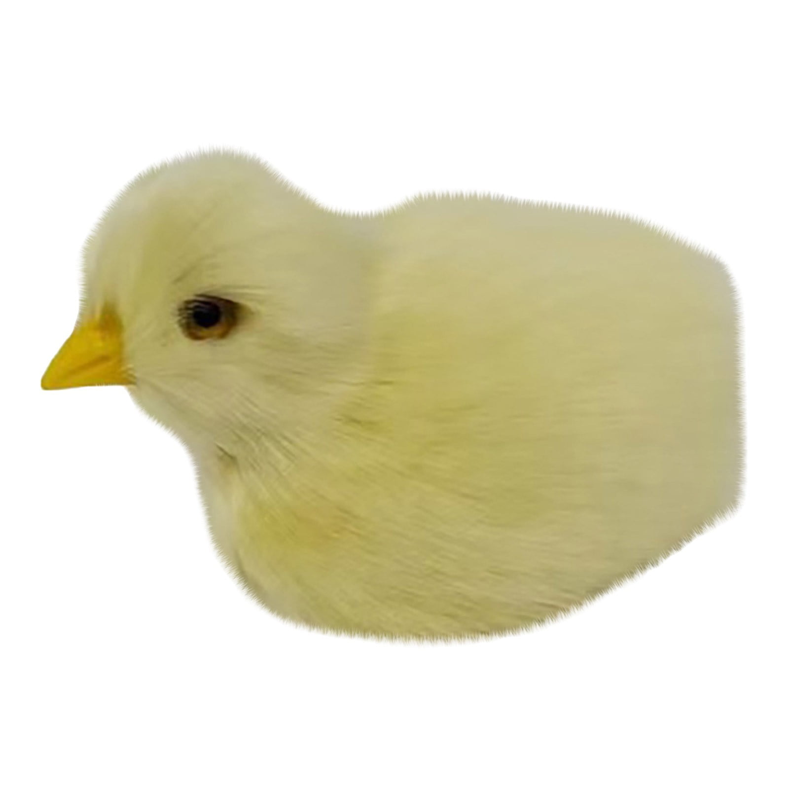 WMGHA ‌Lifelike Plush Animated Chick Figurine with Realistic Animal ...