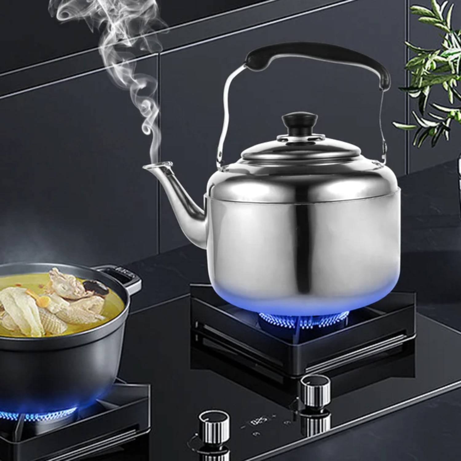 WMNGJA Portable Stainless Steel 5L Whistling Tea Kettle - Stovetop ...