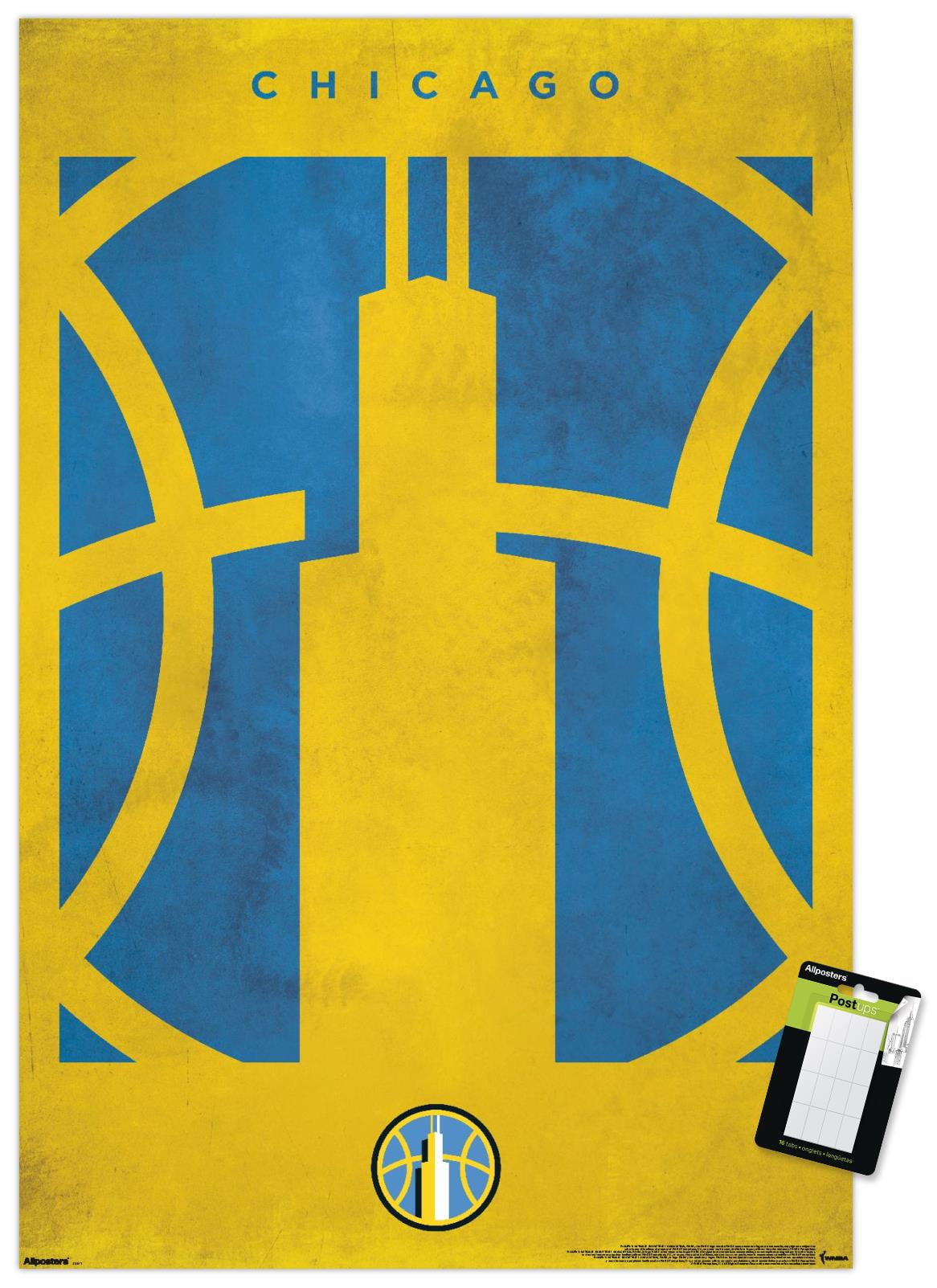 WNBA Chicago Sky - Logo 25 Wall Poster, 22.375" x 34" - Walmart.com