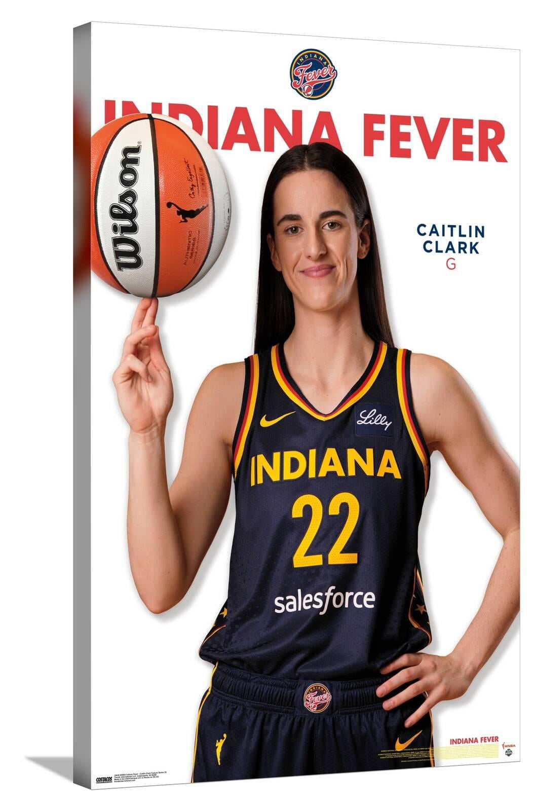 WNBA Indiana Fever - Caitlin Clark Feature Series 24 Canvas Wall Poster ...
