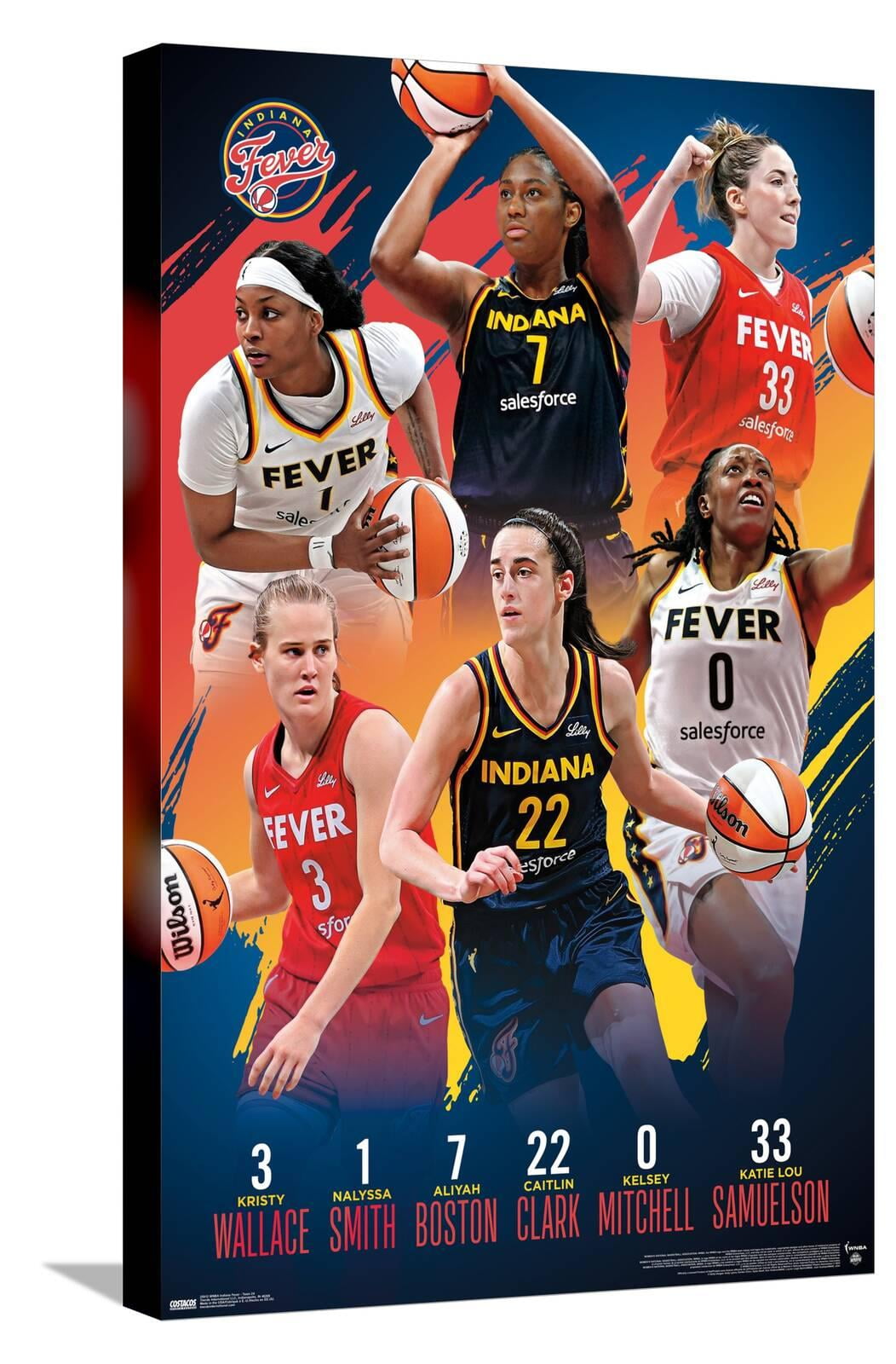 WNBA Indiana Fever -Team 24 Canvas Wall Poster, 14.725" x 22.375 ...