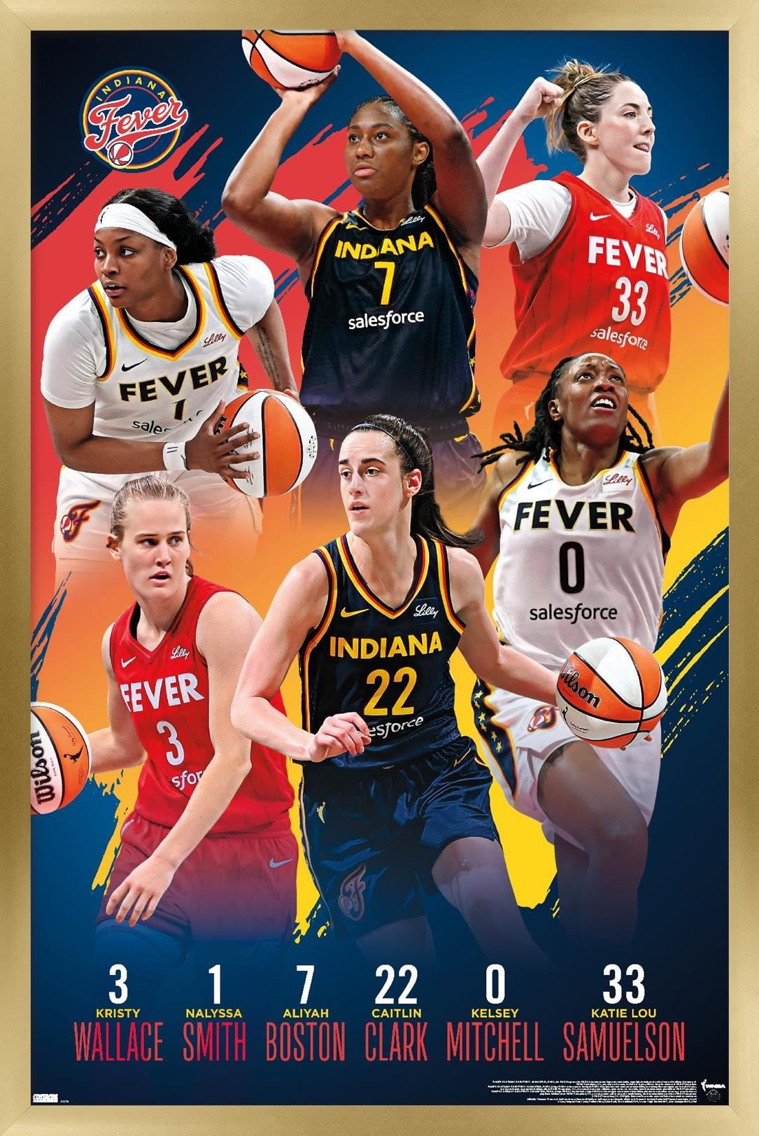 WNBA Indiana Fever -Team 24 Wall Poster, 14.725" x 22.375" Framed ...