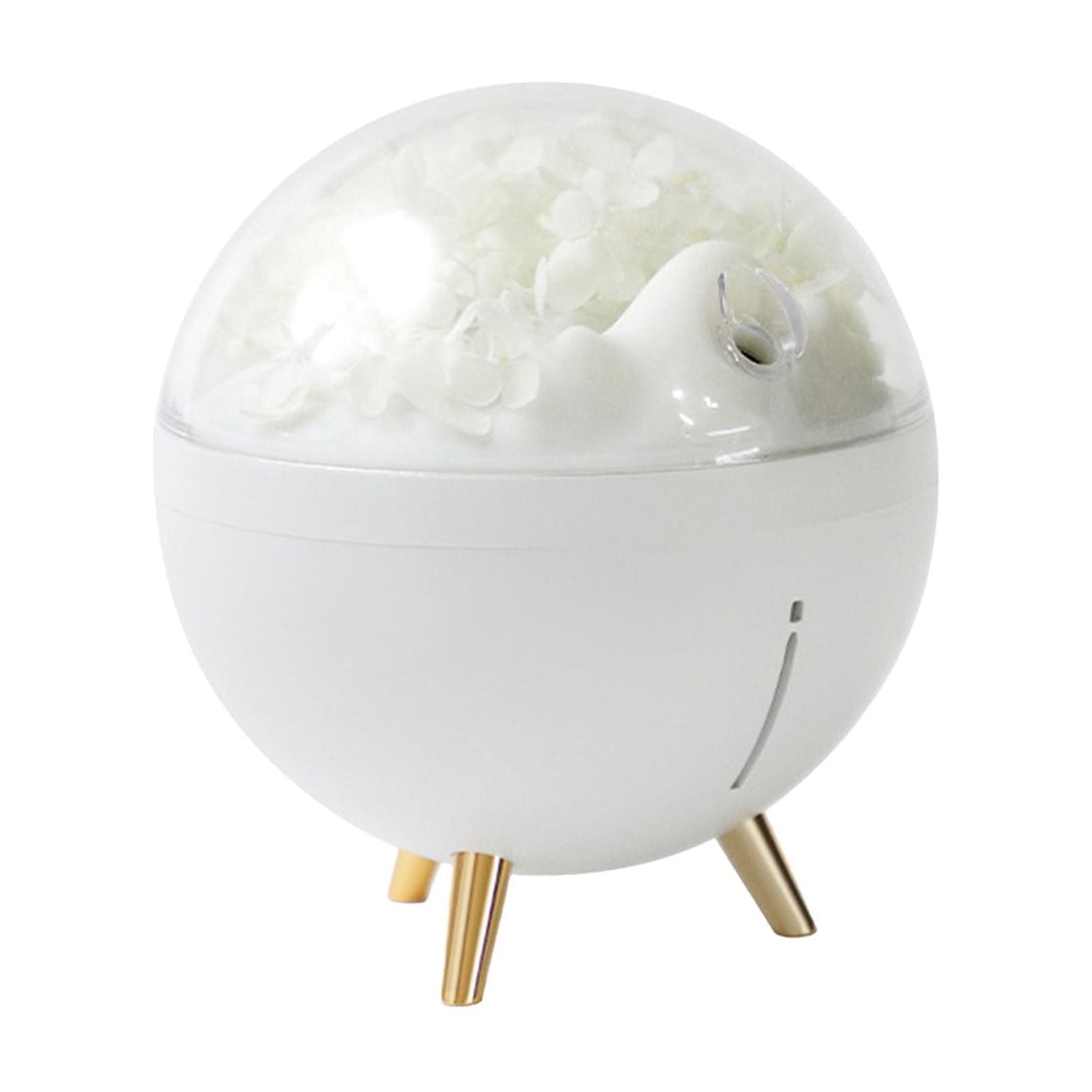 WNEXOPE Space Flower Humidifier - Portable Silent Night Light with Two ...