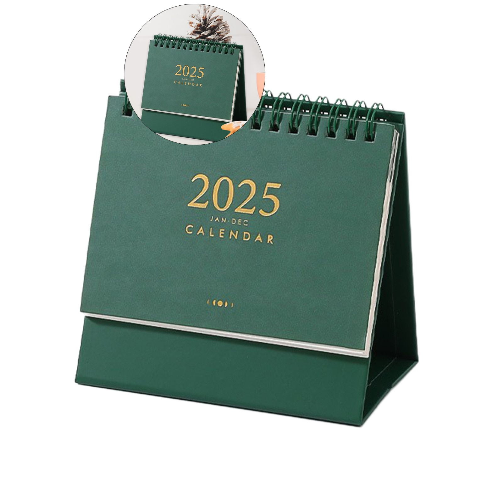 WNFJR 2025 Office Calendar Color Calendar Daily Schedule Planner Mini ...