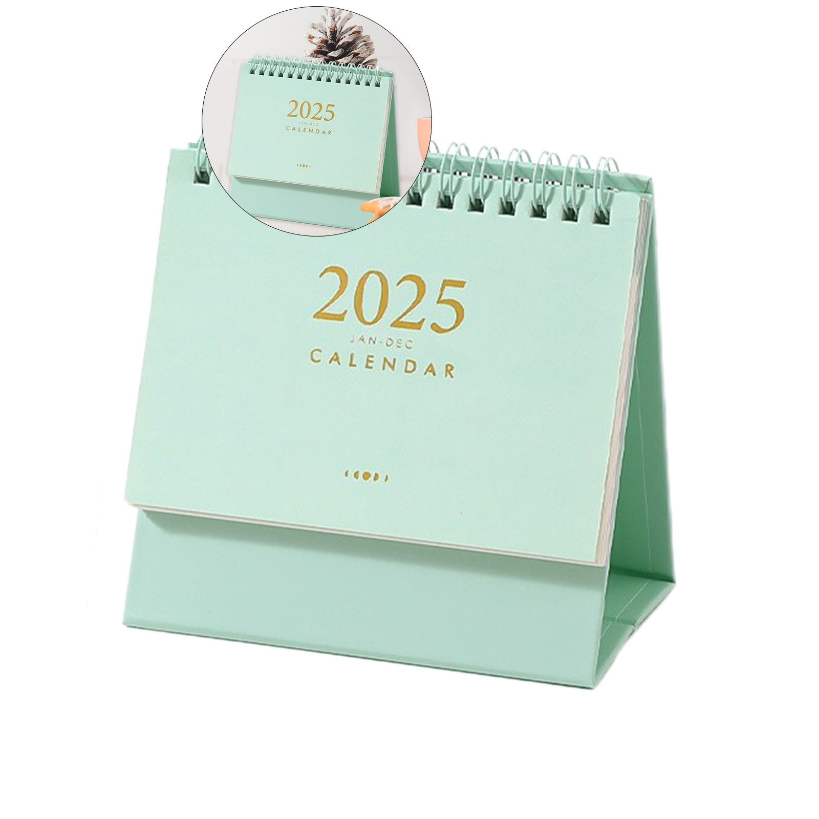 WNFJR 2025 Office Calendar Color Calendar Daily Schedule Planner Mini ...