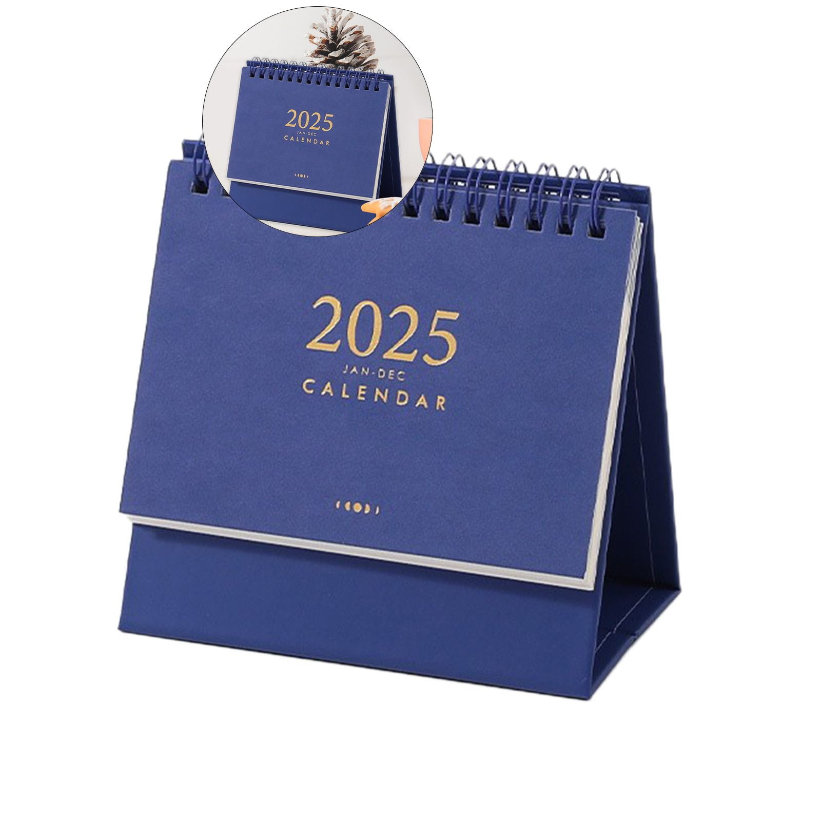 WNFJR 2025 Office Calendar Color Calendar Daily Schedule Planner Mini ...