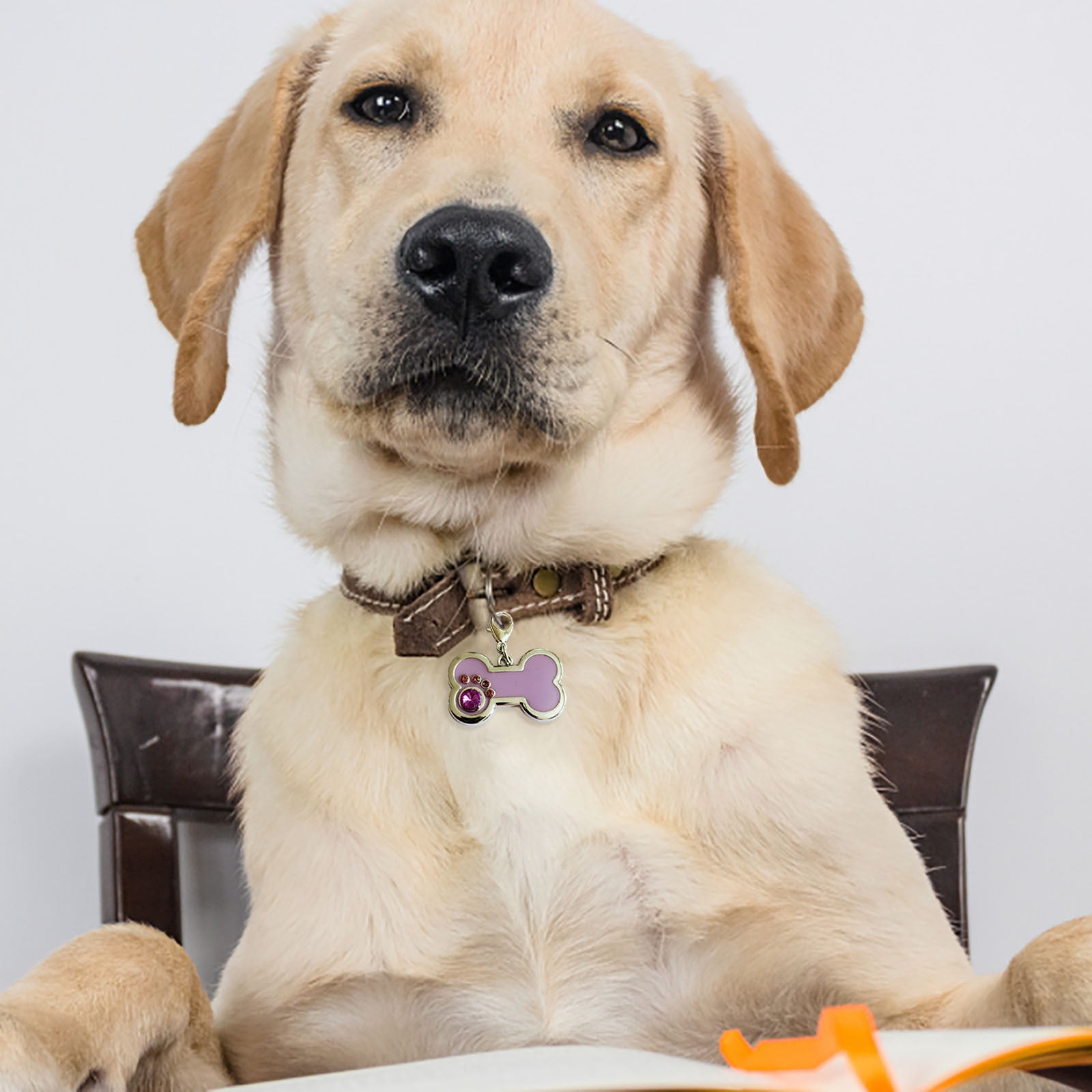 WNFJR Personalized Aluminum Alloy Pet ID Tag, Stainless Steel Silent ...