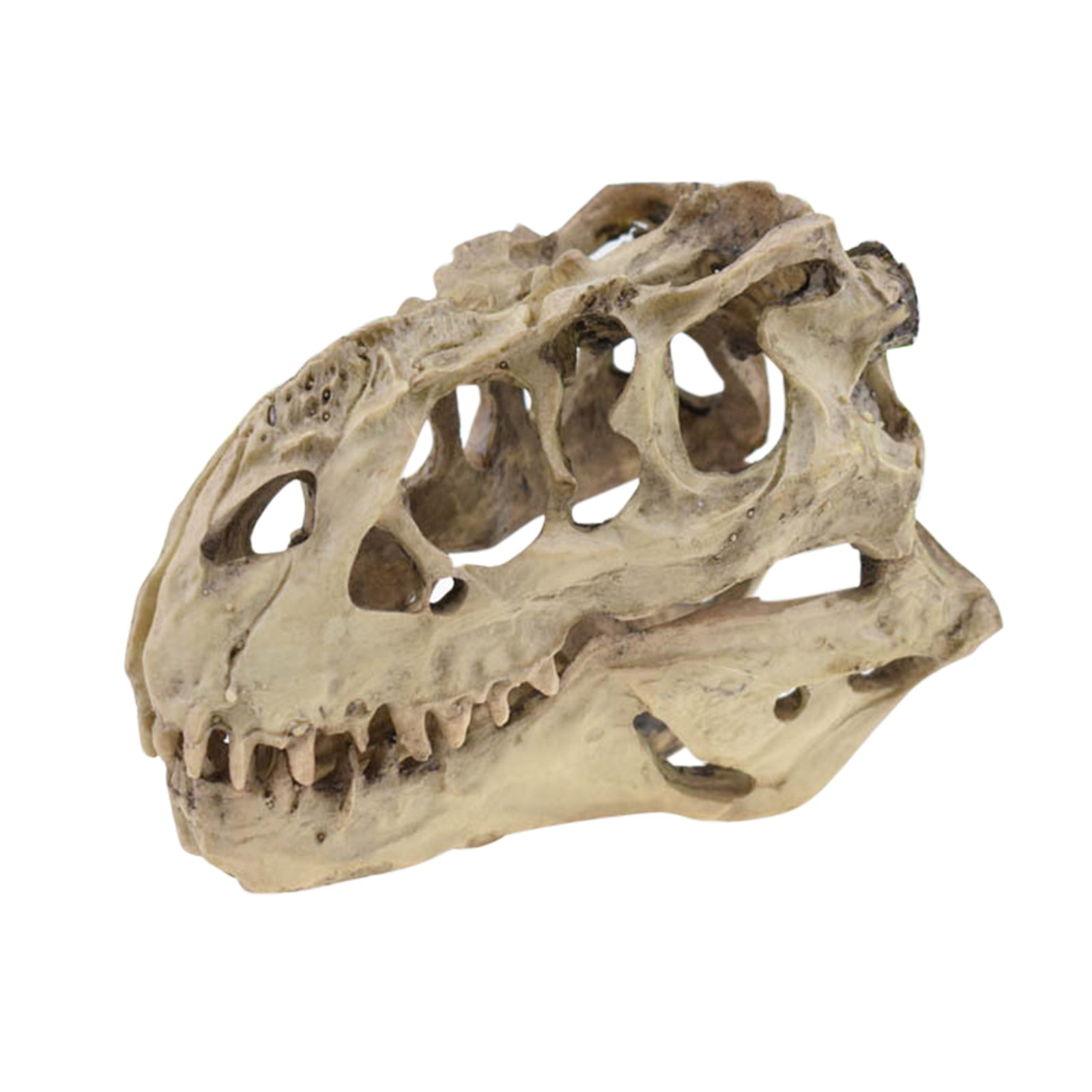 WNG Aquarium Decoration Skeleton Hole Resin Artificial Dinosaur ...