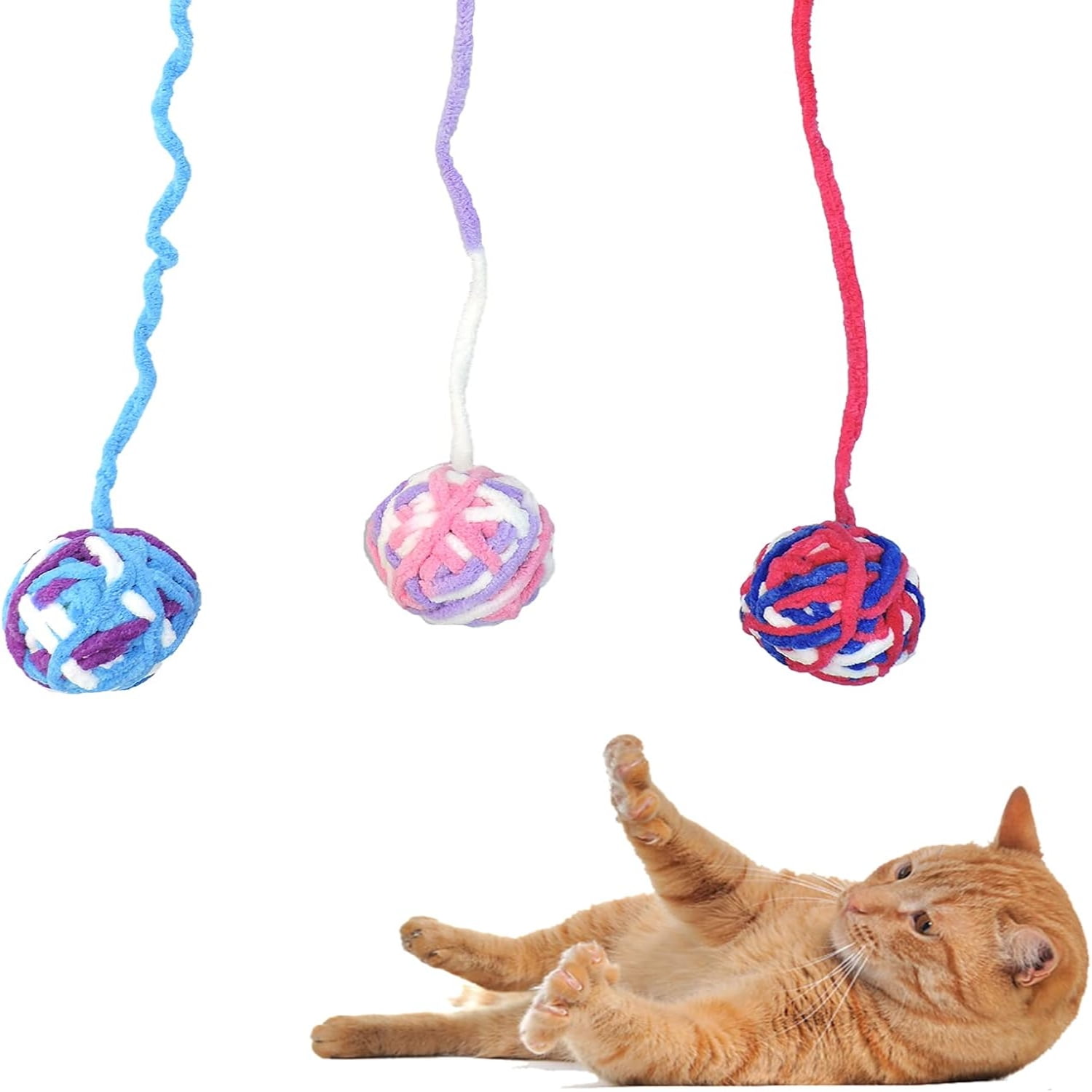 Wngzcng Transform Your Kitten‘s Daily Routine With Endless Fun