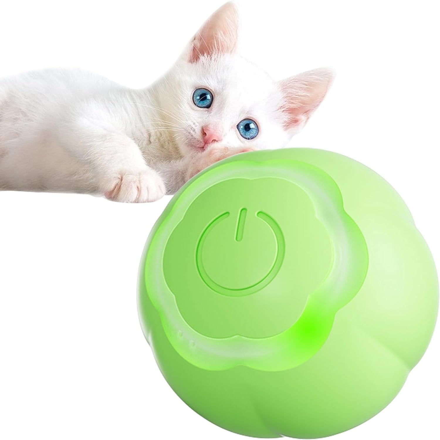 WNGZCNG Upgrade Your Cat‘s Playtime with Colorful and Bright ... WNGZCNG Upgrade Your Cat‘s Playtime with Colorful and Bright ...