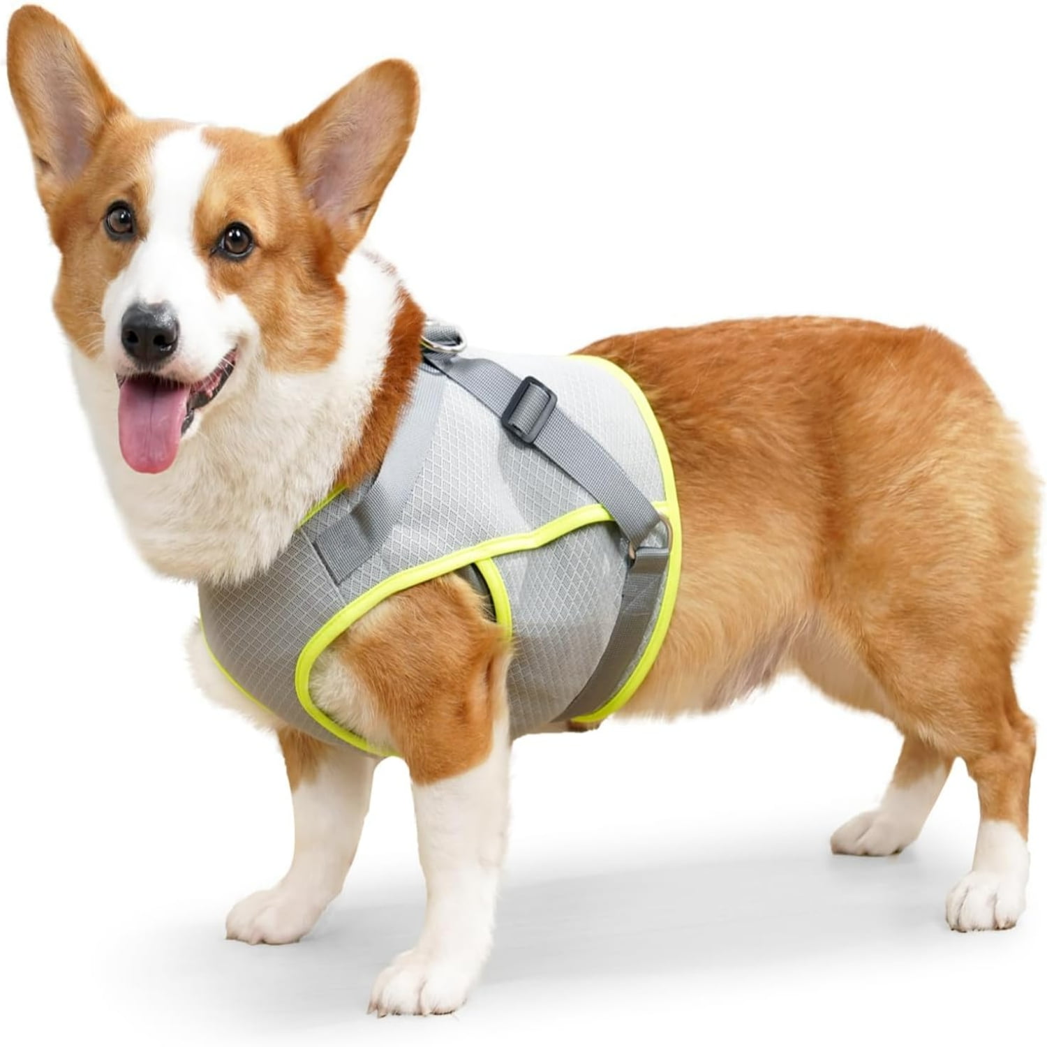 WNGZCNG ern raised pet feeder. Keep your furry friend entertained for ...