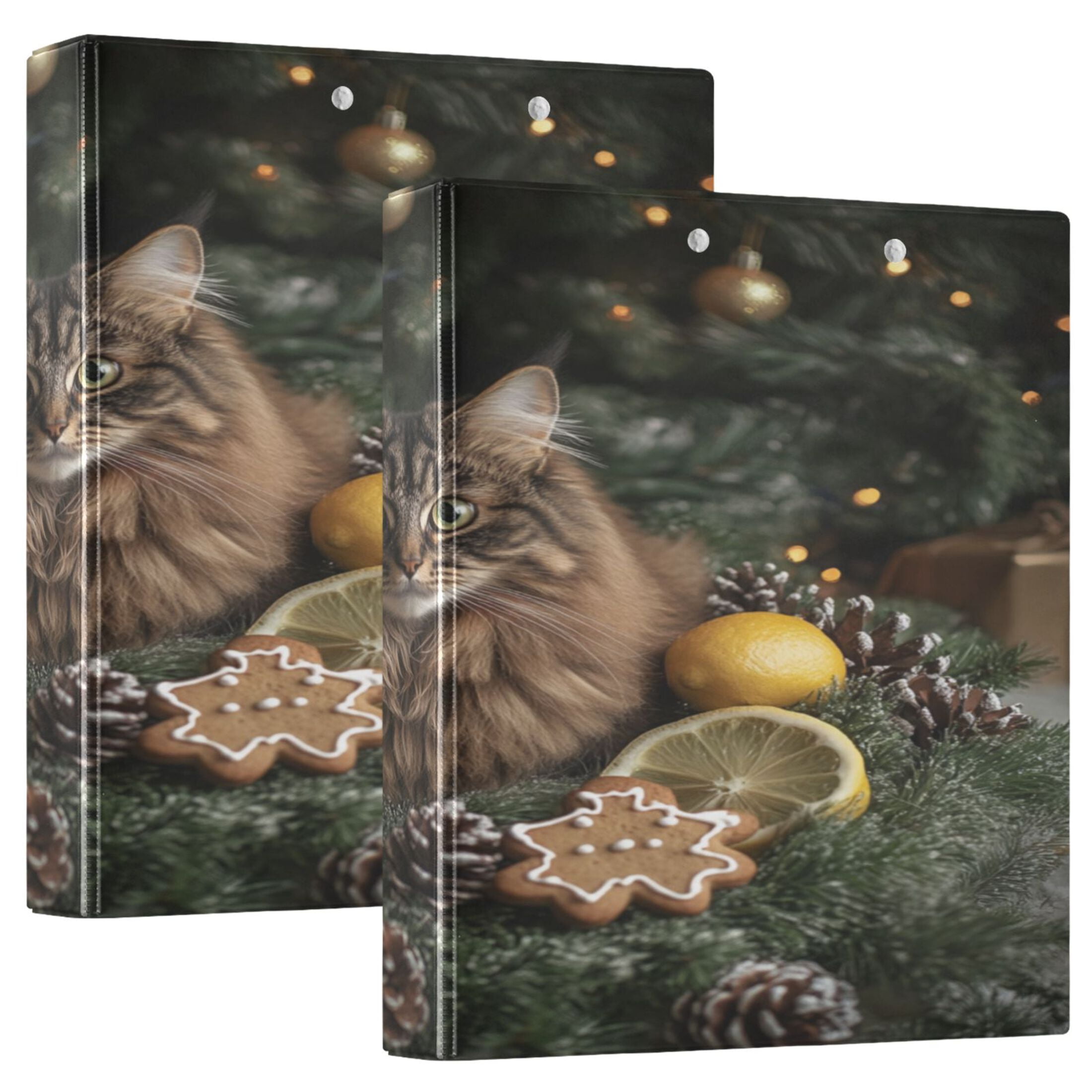 WOBOGO A Fluffy Cat File Folders Extra Large Capacity to Hold 200 ...