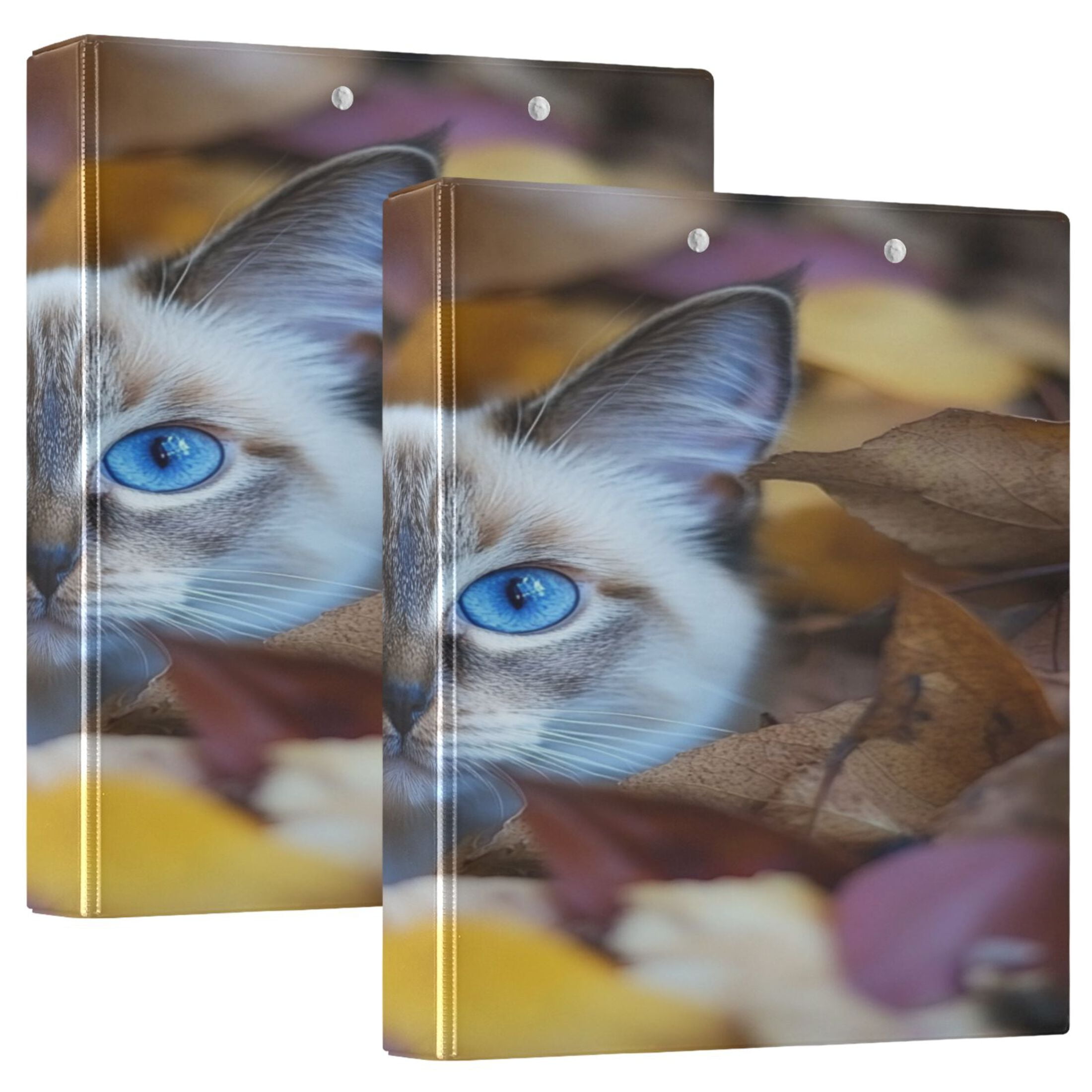 WOBOGO Blue Eyes Cat File Folders Extra Large Capacity to Hold 200 ...