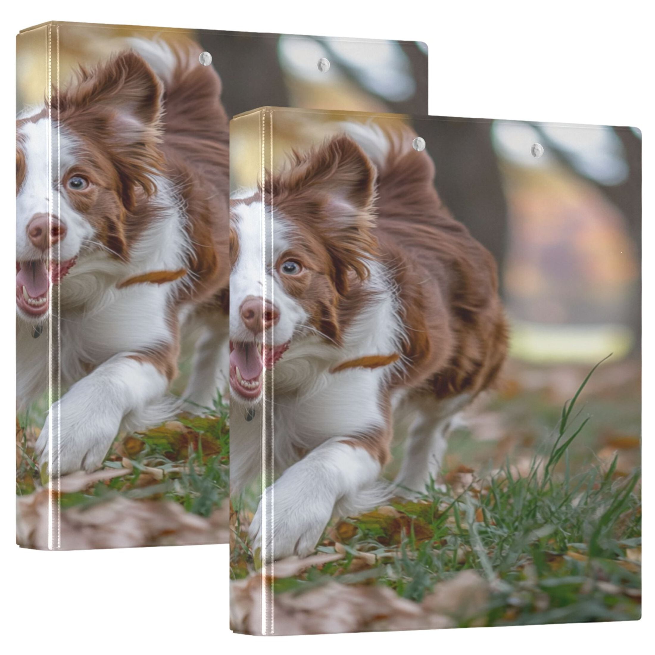 WOBOGO Border Dog File Folders Extra Large Capacity to Hold 200 Sheets ...