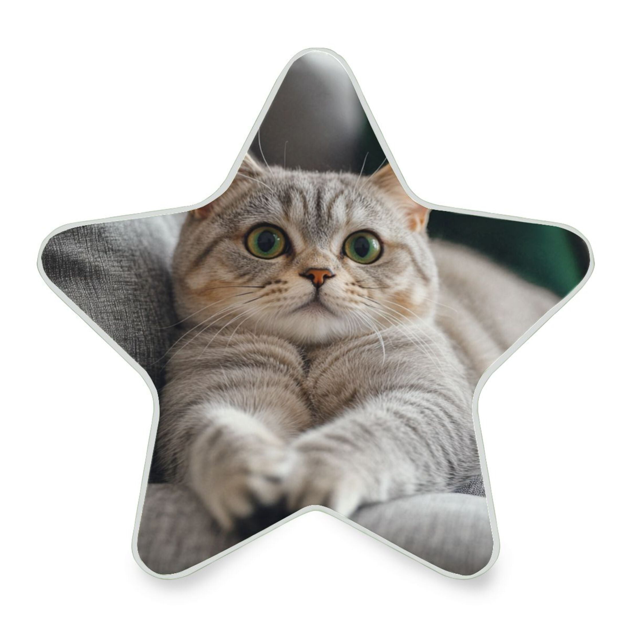 WOBOGO Cute English Shorthair Cat LED Star Night Light 0.2 Watt Wall ...