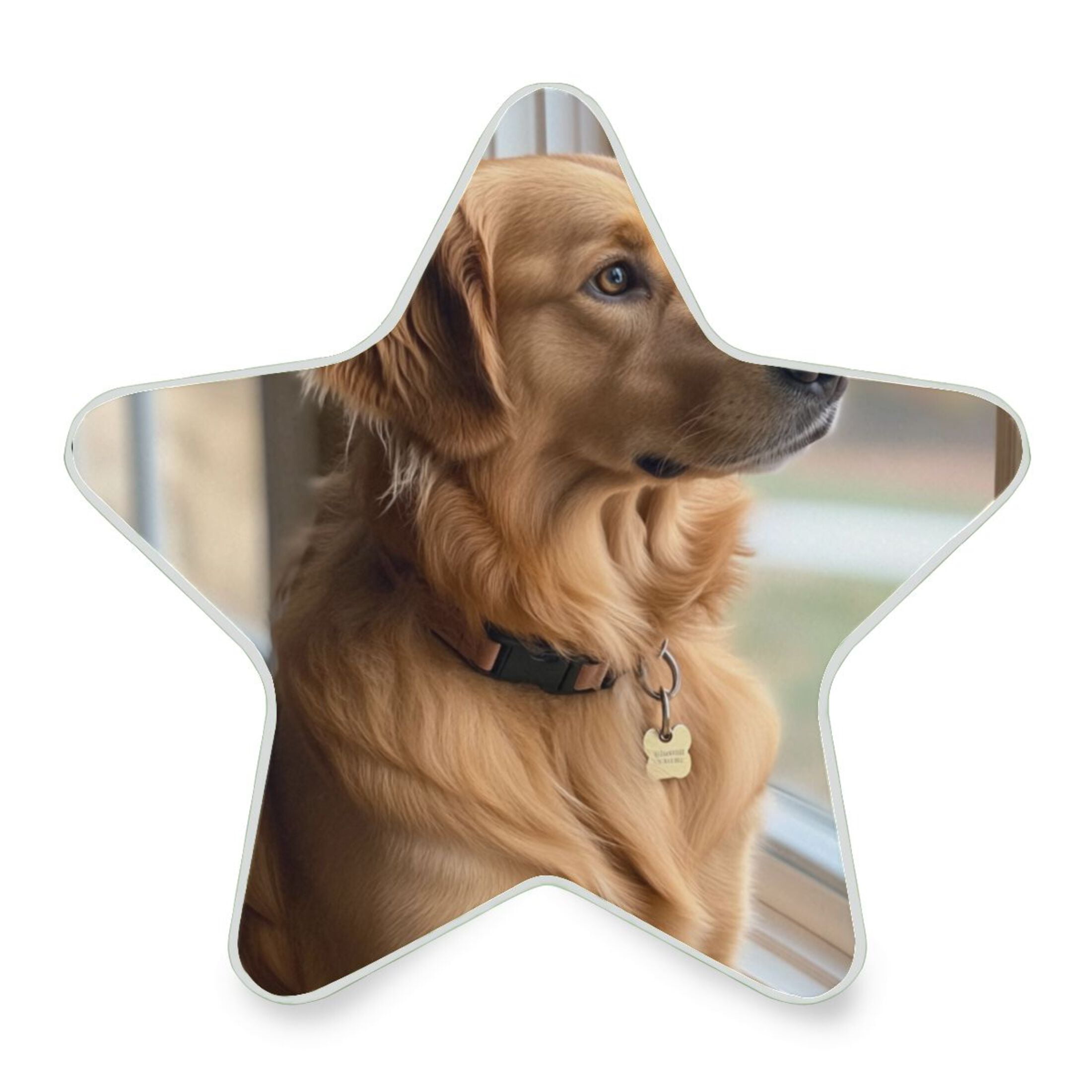 WOBOGO Golden Retriever LED Star Night Light 0.2 Watt Wall Plug Dusk to ...