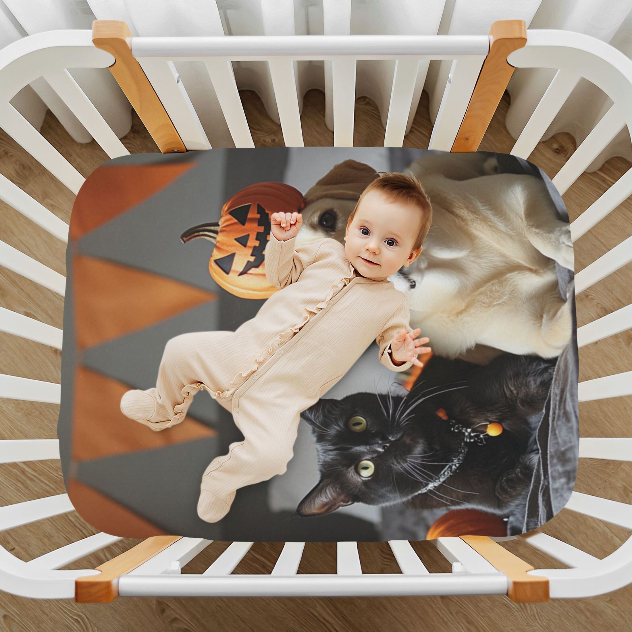 WOBOGO Halloween Dog and Cat Baby Crib Sheets Super Soft Microfiber ...