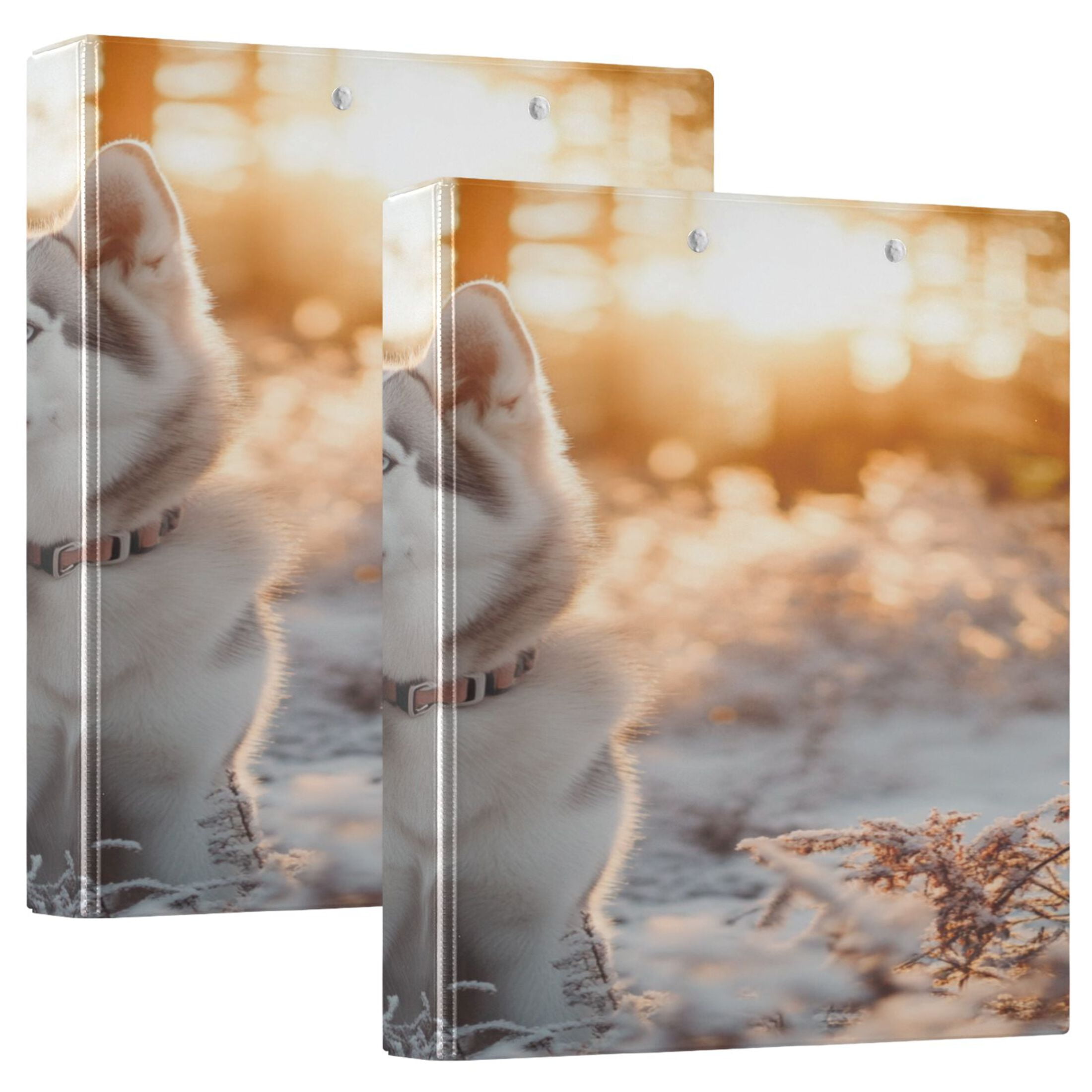 WOBOGO Outdoor Husky Dog File Folders Extra Large Capacity to Hold 200 ...