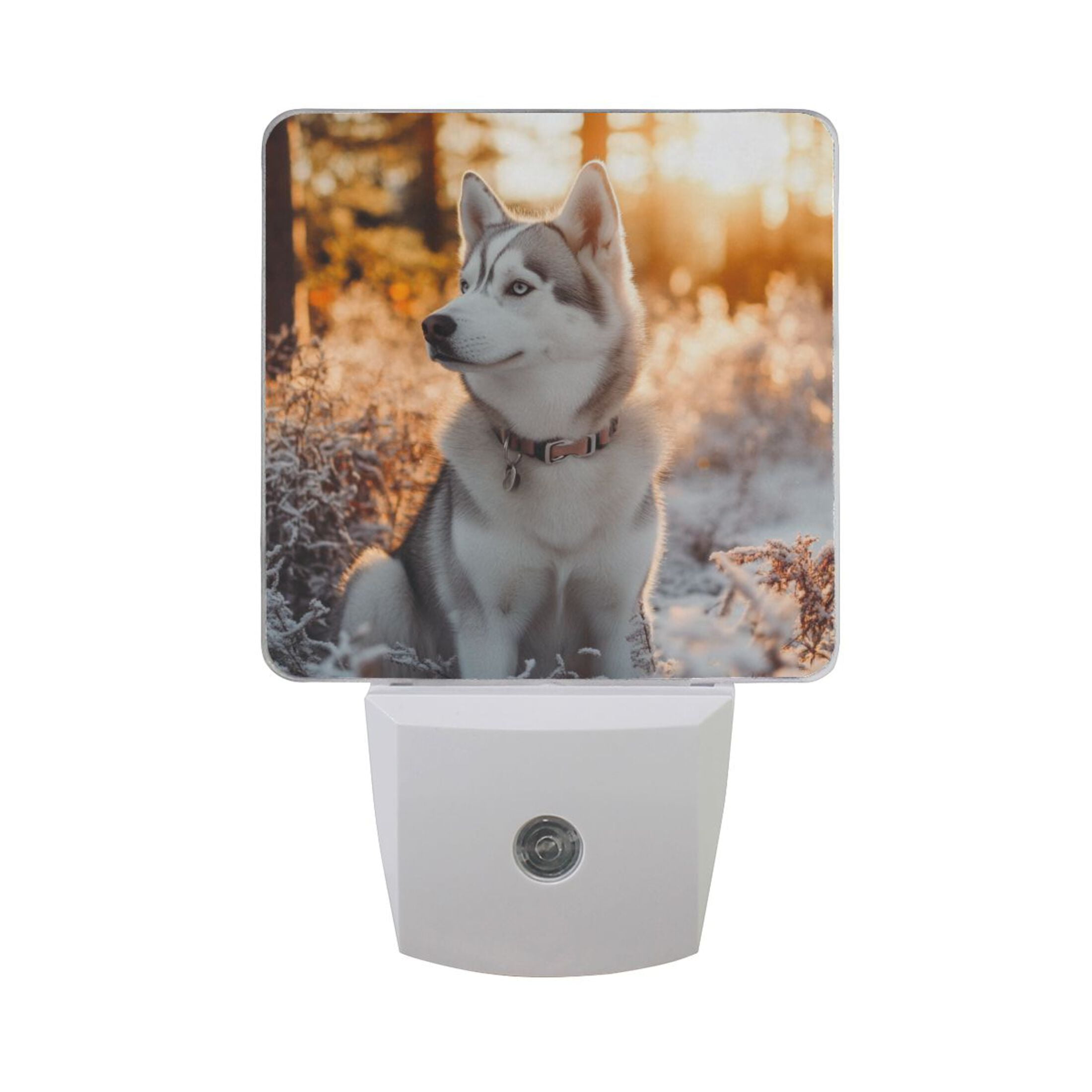 WOBOGO Outdoor Husky Dog LED Night Light 2 Pcs Set 0.5 Watt Wall Plug ...