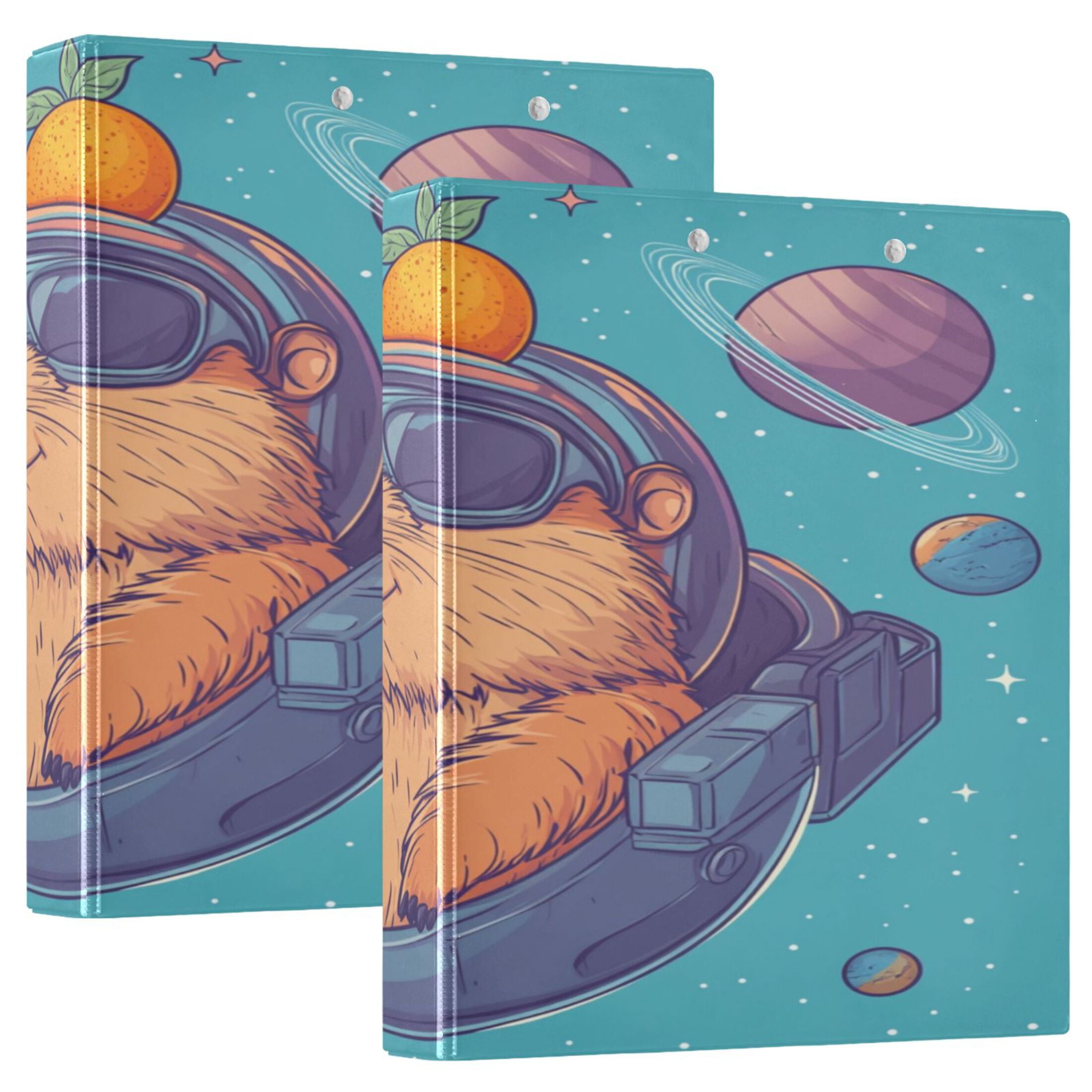 WOBOGO Space Capybara File Folders Extra Large Capacity to Hold 200 ...
