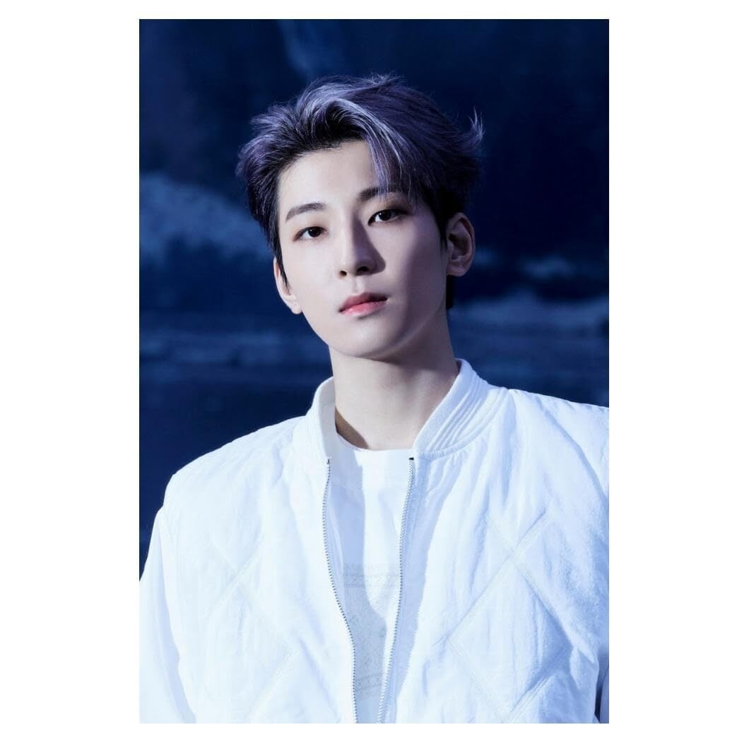 WONWOO Seventeen SECTOR 17 Concept Photo Music Poster KPop Home Decor For Living Room Aesthetic ...
