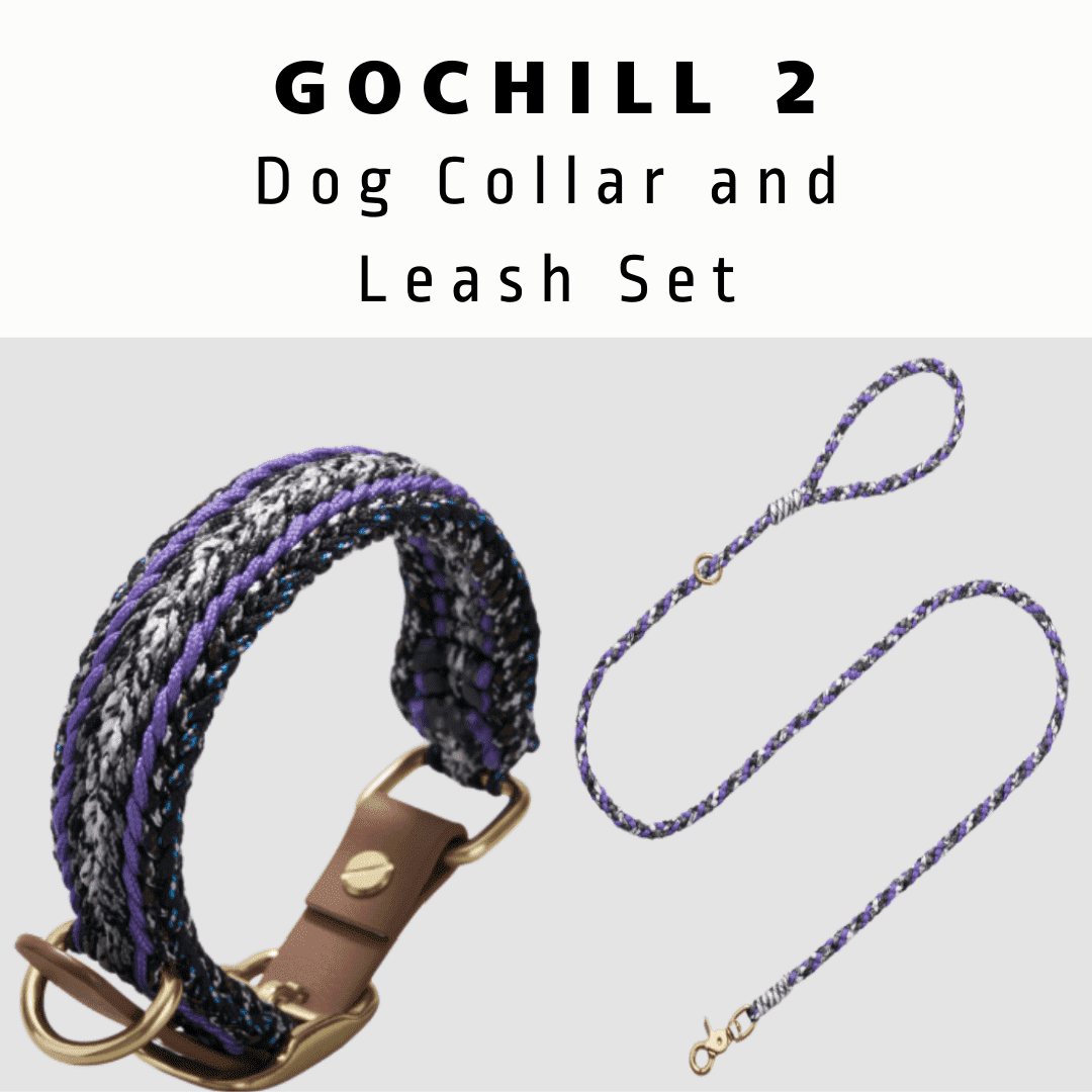 WOONONO Adjustable Dog Collar and Leash Set, Reflective Collars with Brass Buckle and D-Ring for ...