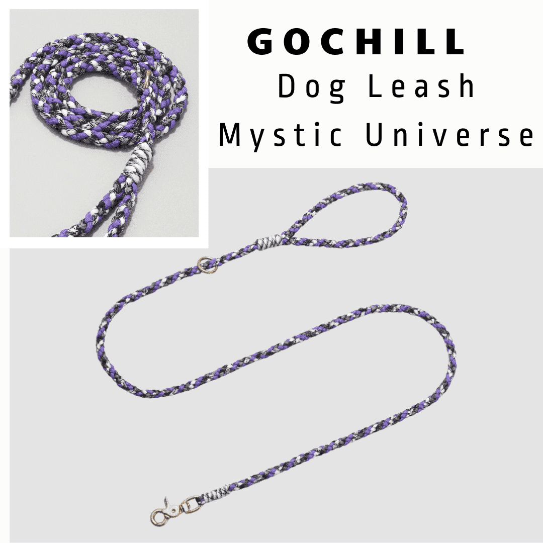 WOONONO Gochill Leash, 63 In Polypropylene Retractable Dog Leash ...