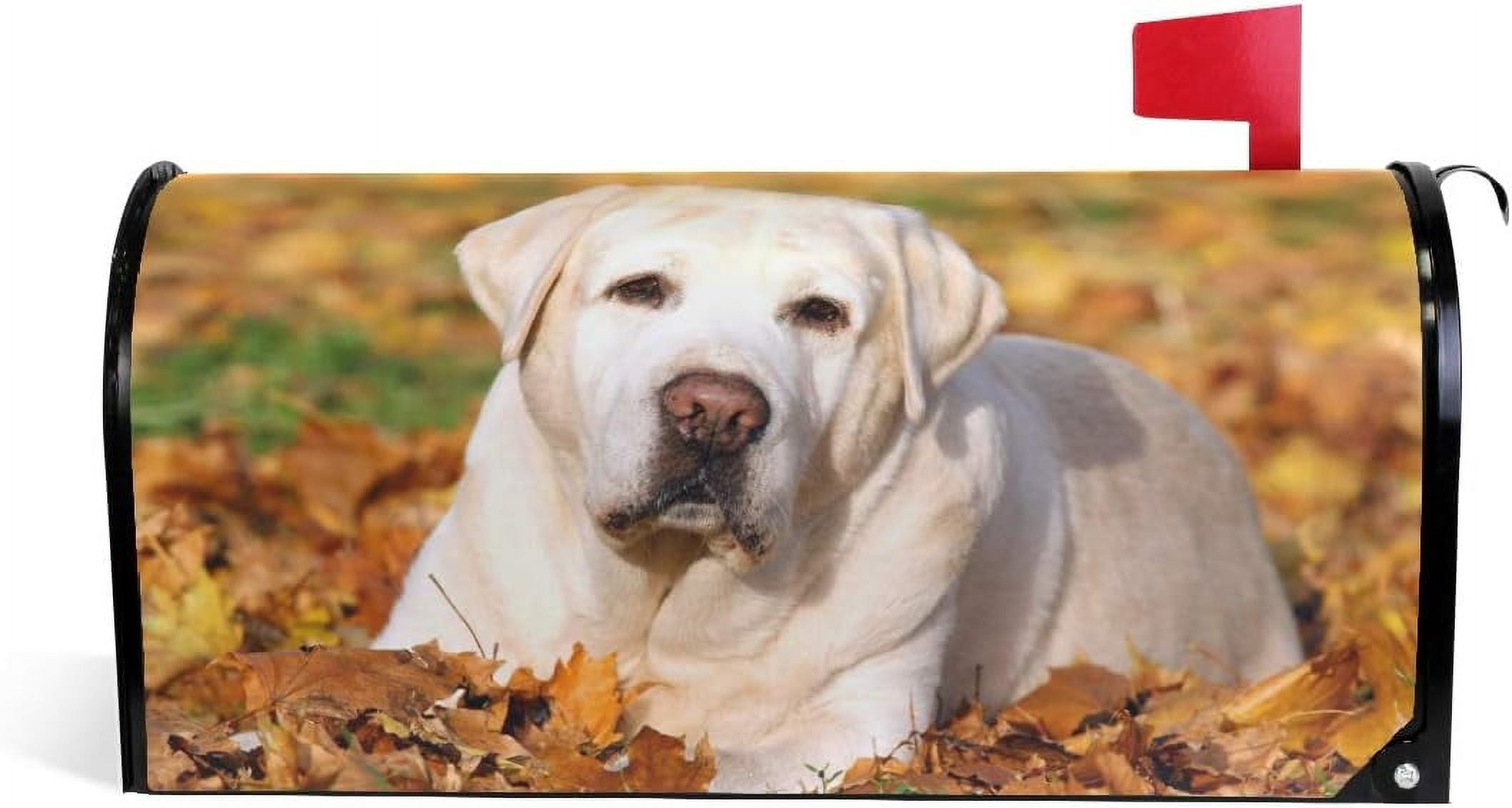 WOOR Cute Yellow Labrador Retriever Magnetic Magnetic Mailbox Cover ...