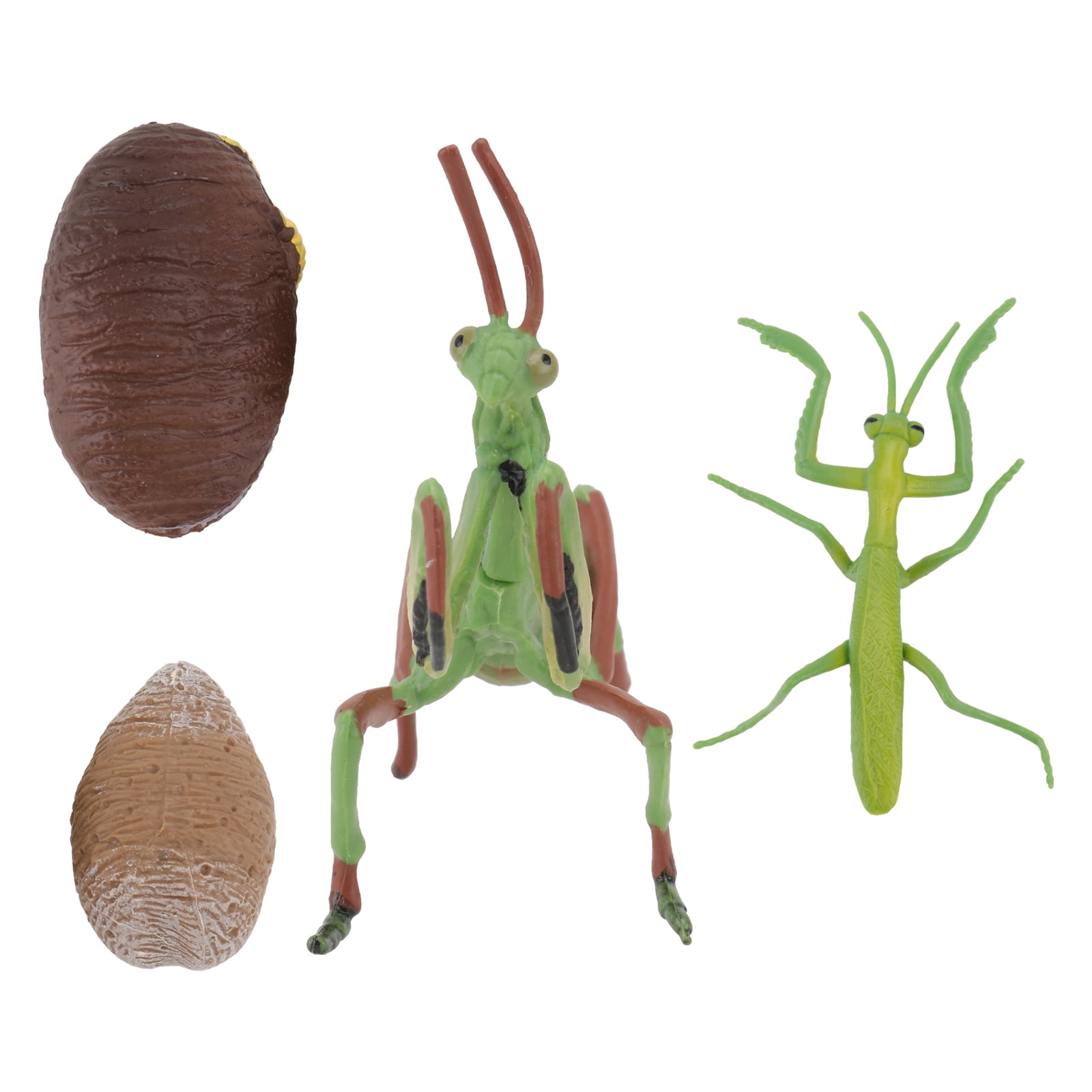 WORGEOUS 1 Set Figurine Crafts Kindergarten Mantis Model (Assorted ...