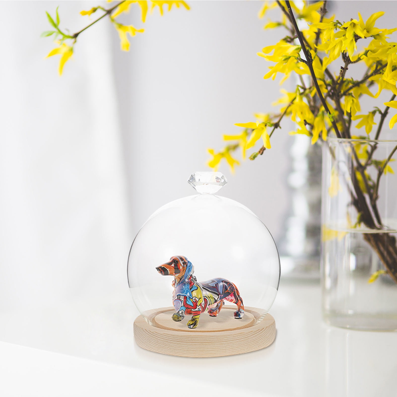 WORGEOUS 1 Set Glass Case for Display Multi Color Spherical Shape for ...