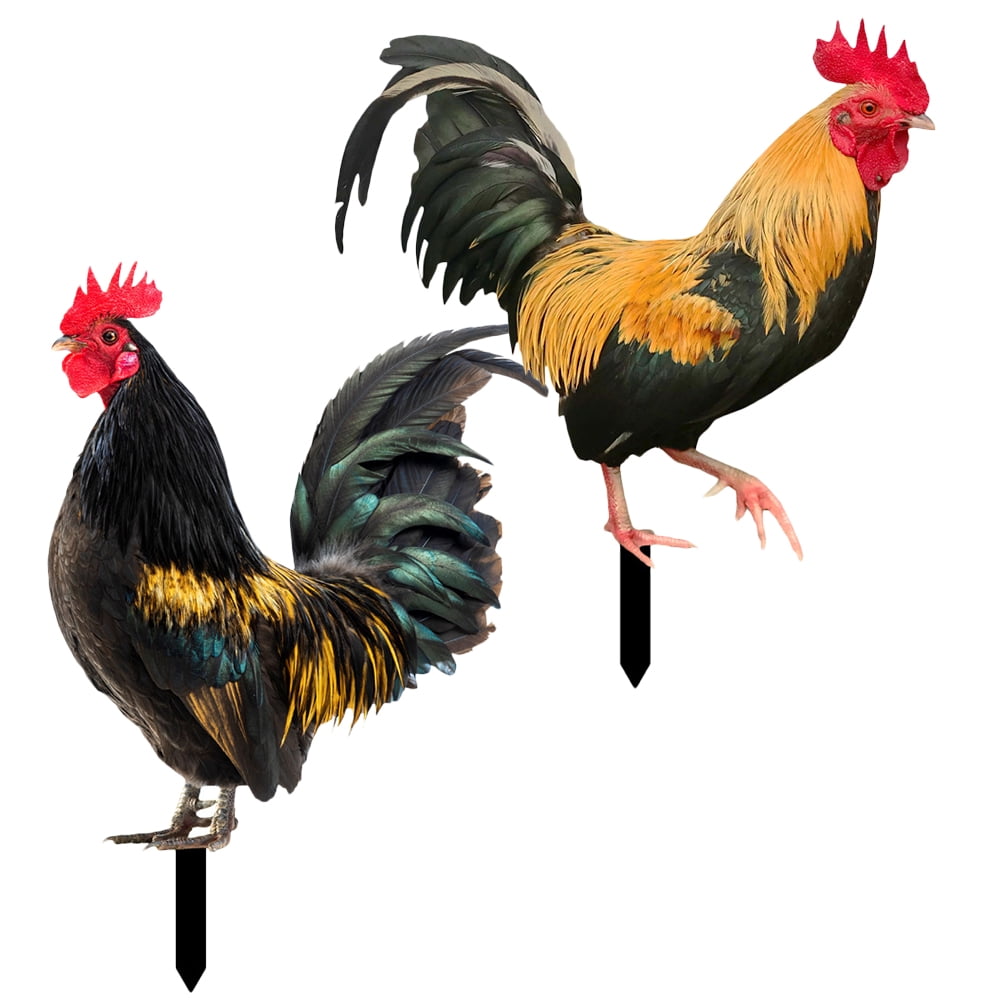 WORGEOUS 1 Set of Acrylic Yard Rooster Signs Realistic Hen Stakes ...