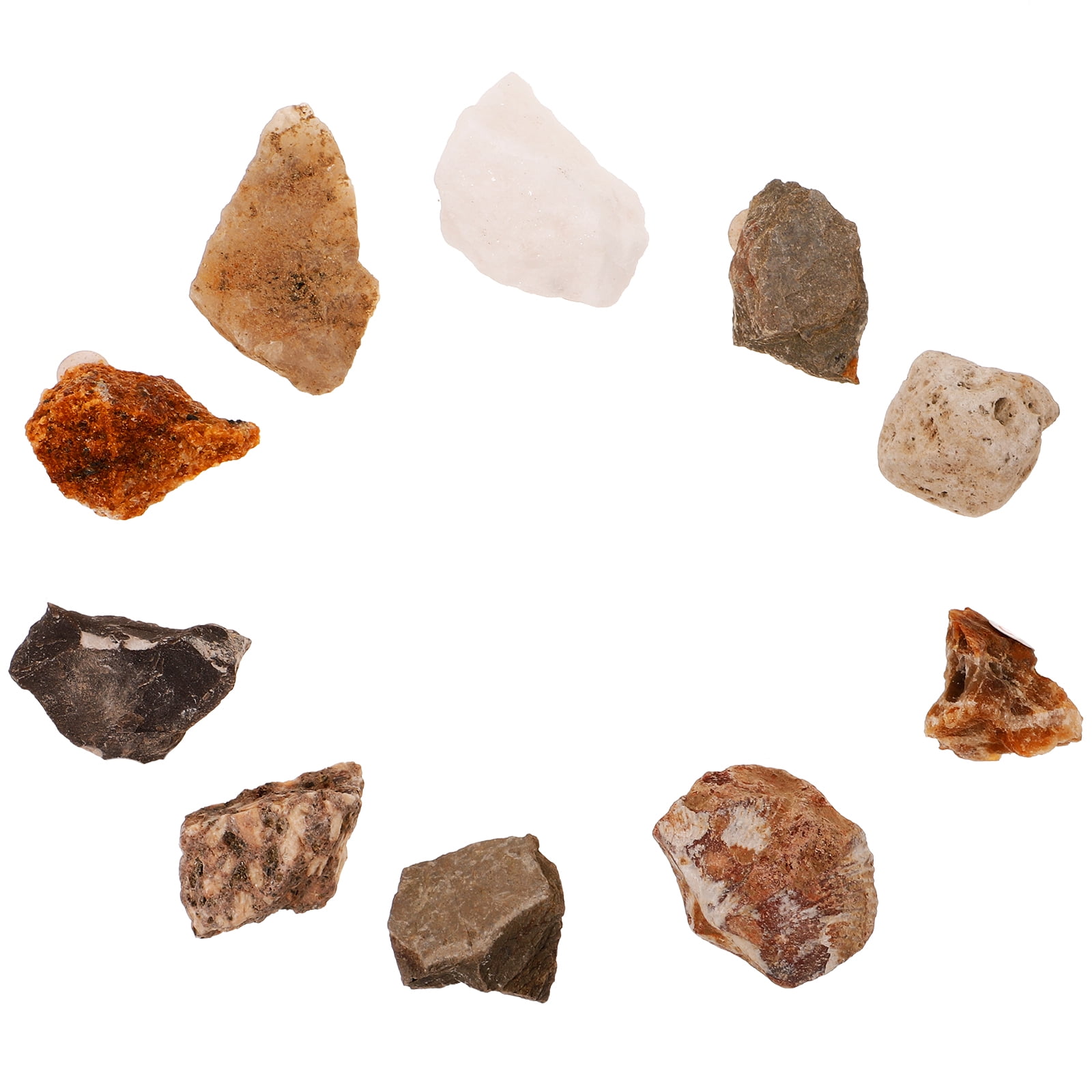 WORGEOUS 10 Pcs Fixture Rock Specimen Teaching Aids Primary School ...