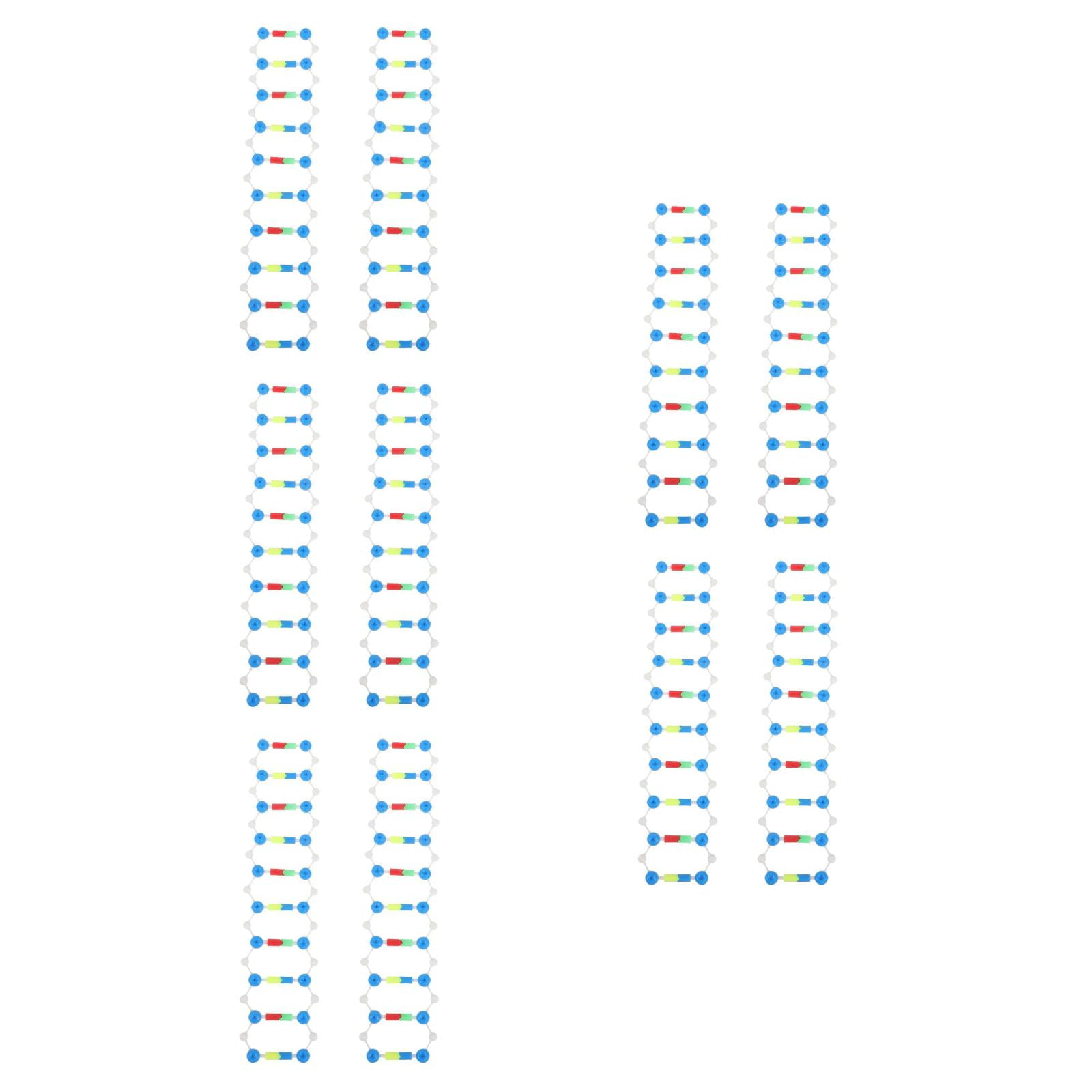 WORGEOUS 10 pcs Dna Double Helix Model Components Educational Teaching ...