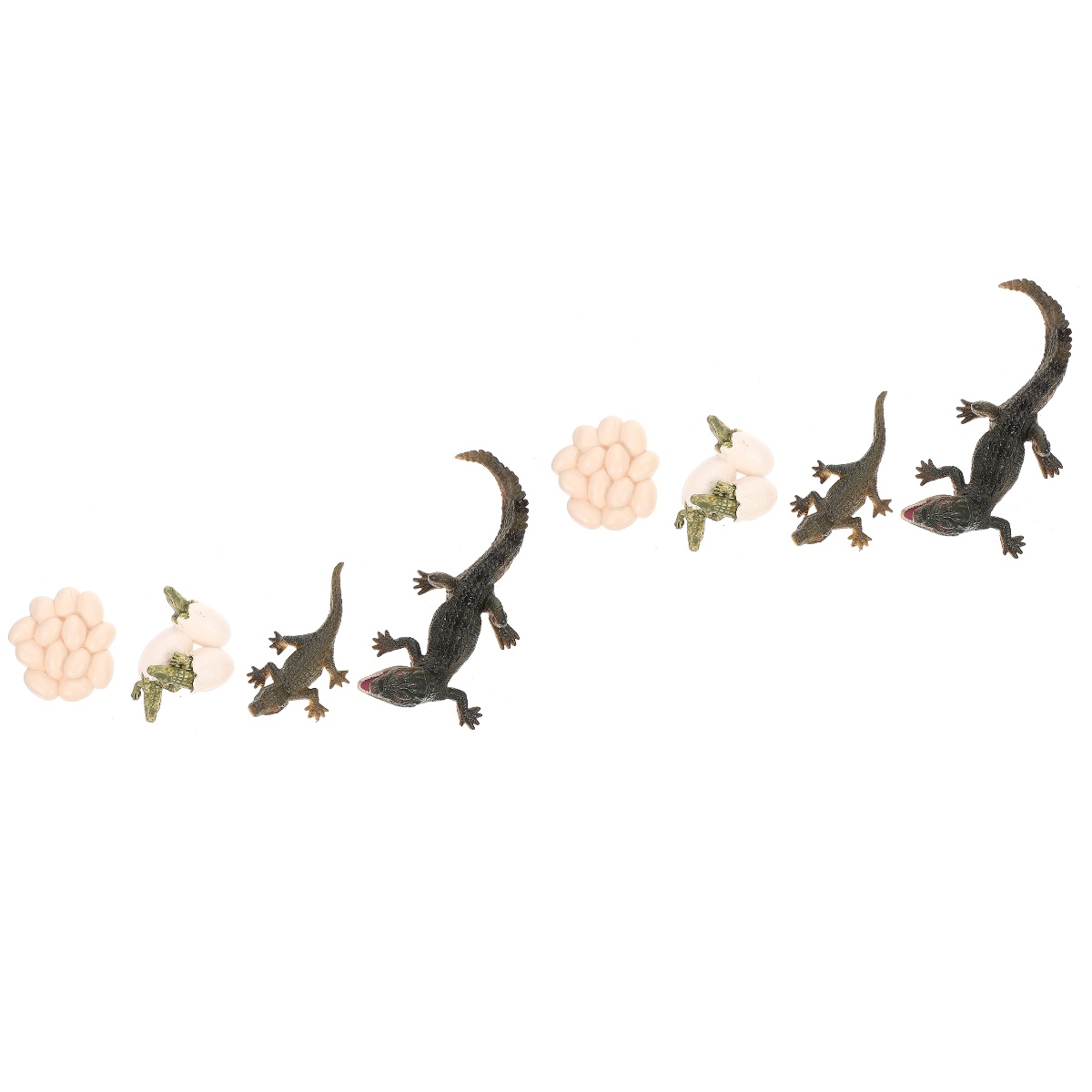 WORGEOUS 2 Sets Growth Cycle Figure Realistic Life Cycle Model Kid Toy ...