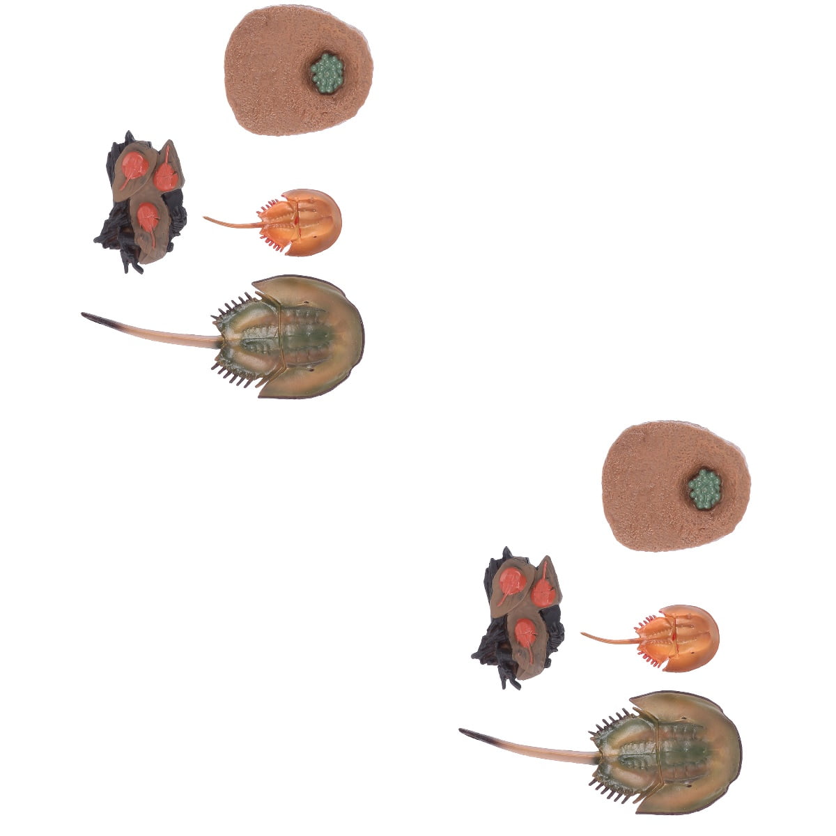 WORGEOUS 2 Sets Horseshoe Crab Education Model Kids Animal Model Gift ...