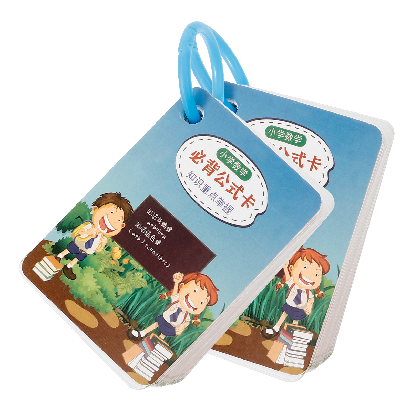 WORGEOUS 2 Sets of Educational Math Flash Cards Math Flash Cards Math ...