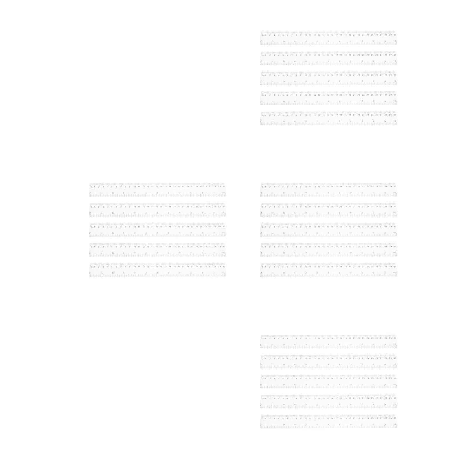 Worgeous 20 pcs Students Rulers Measuring Ruler Plastic Ruler Reusable ...