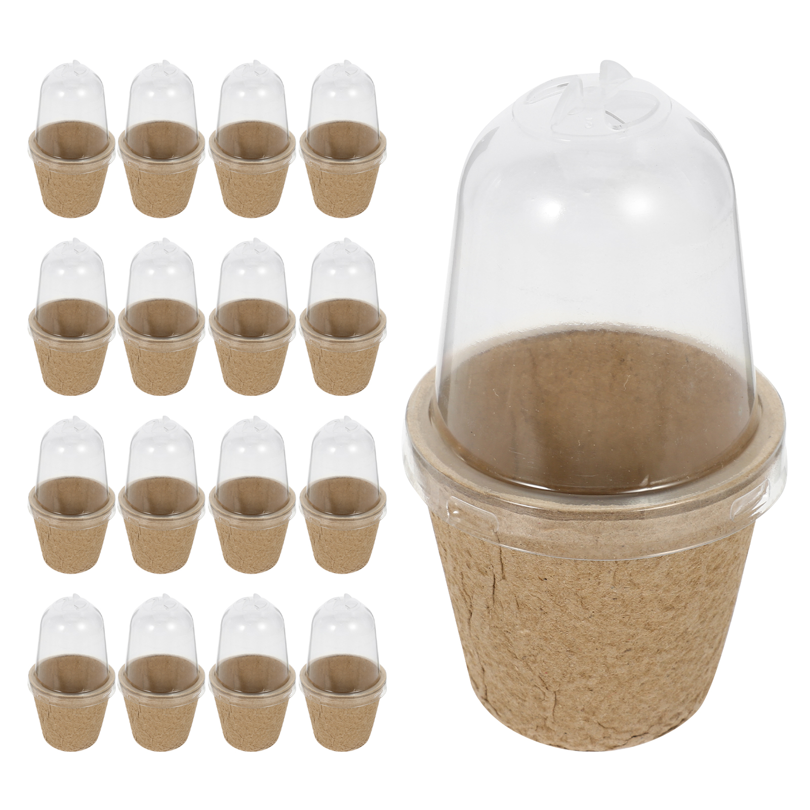 WORGEOUS 25Pcs Nursery Pots for Plants Clear Lids Seeds Nursery Pots ...