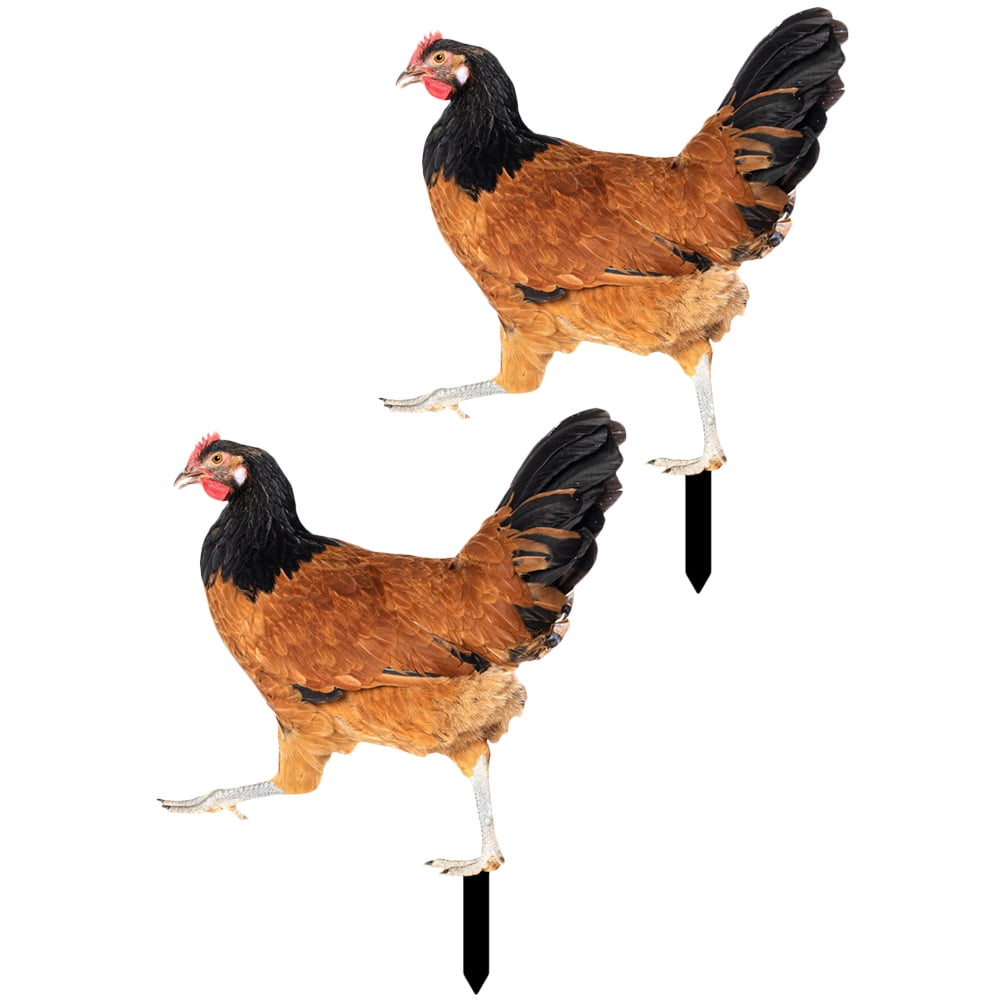 WORGEOUS 2Pcs Garden Chicken Stake Art Acrylic Hen Yard Arts Hen Stake ...